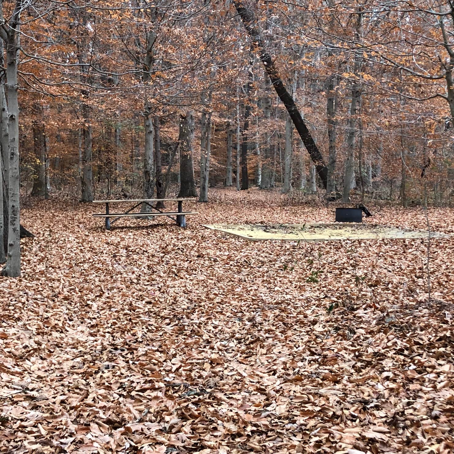 Sandy Bottom Nature Park Camping | The Dyrt