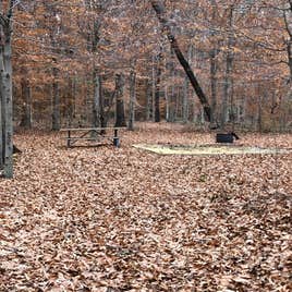 Sandy Bottom Nature Park Camping | The Dyrt