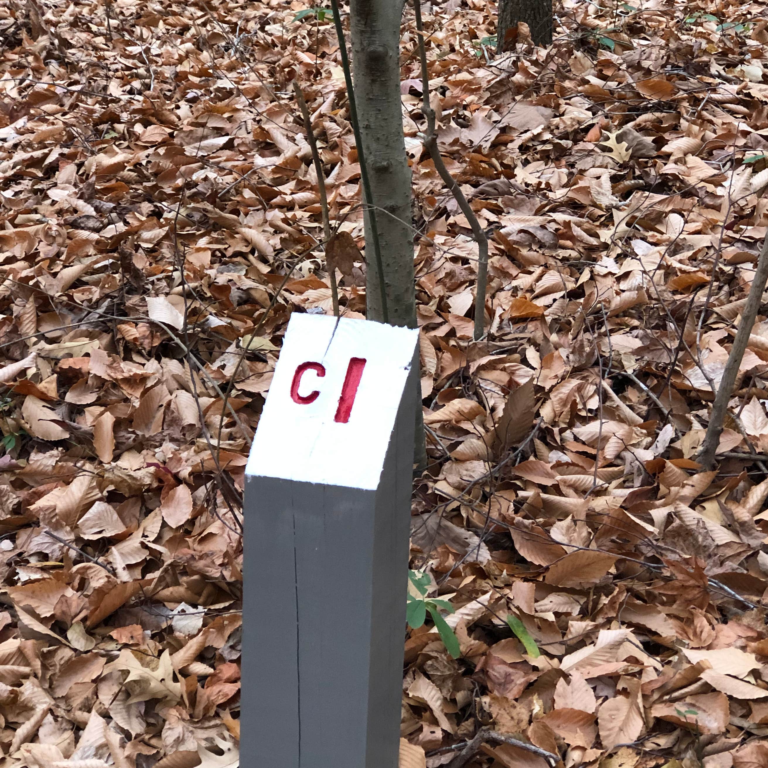 Sandy Bottom Nature Park Camping | The Dyrt