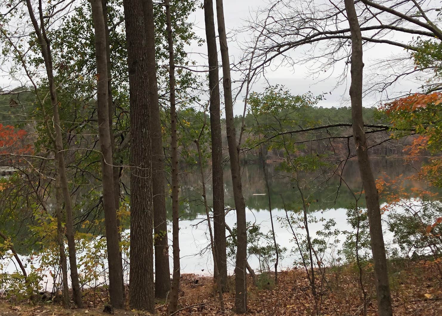 Sandy Bottom Nature Park Camping | The Dyrt