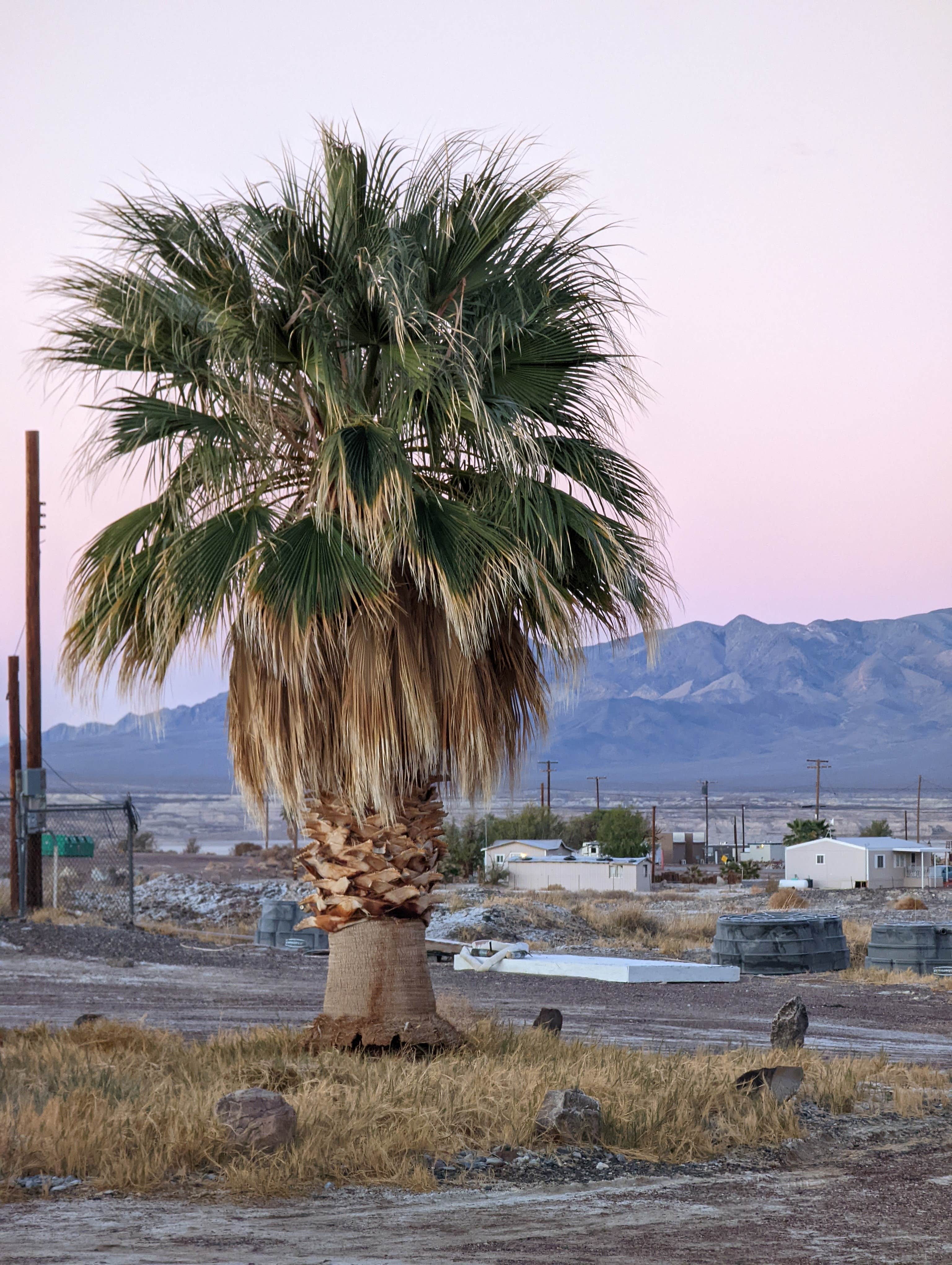 Delight’s Hot Springs Campground | Tecopa, CA