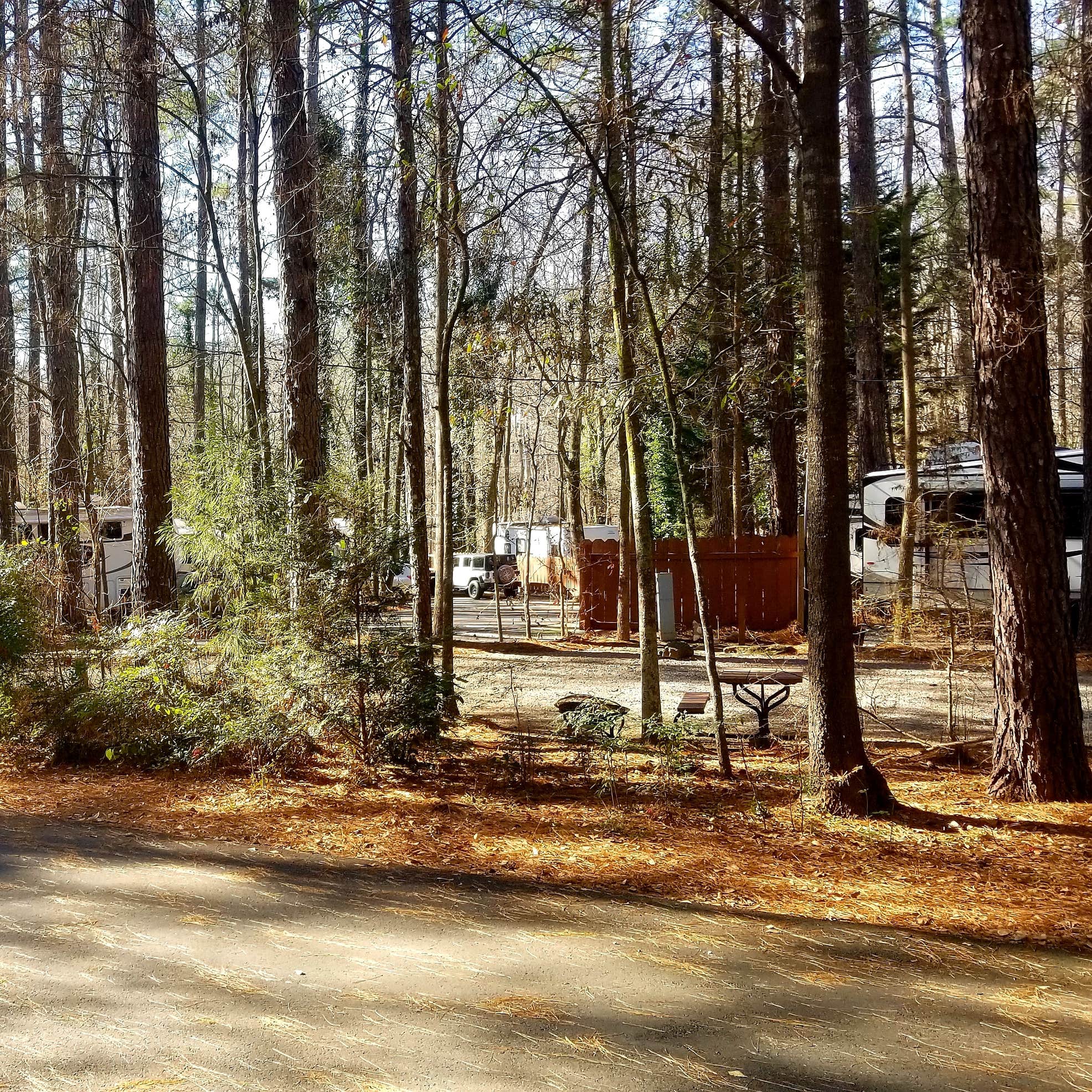 Pine Lake RV Campground Camping | The Dyrt