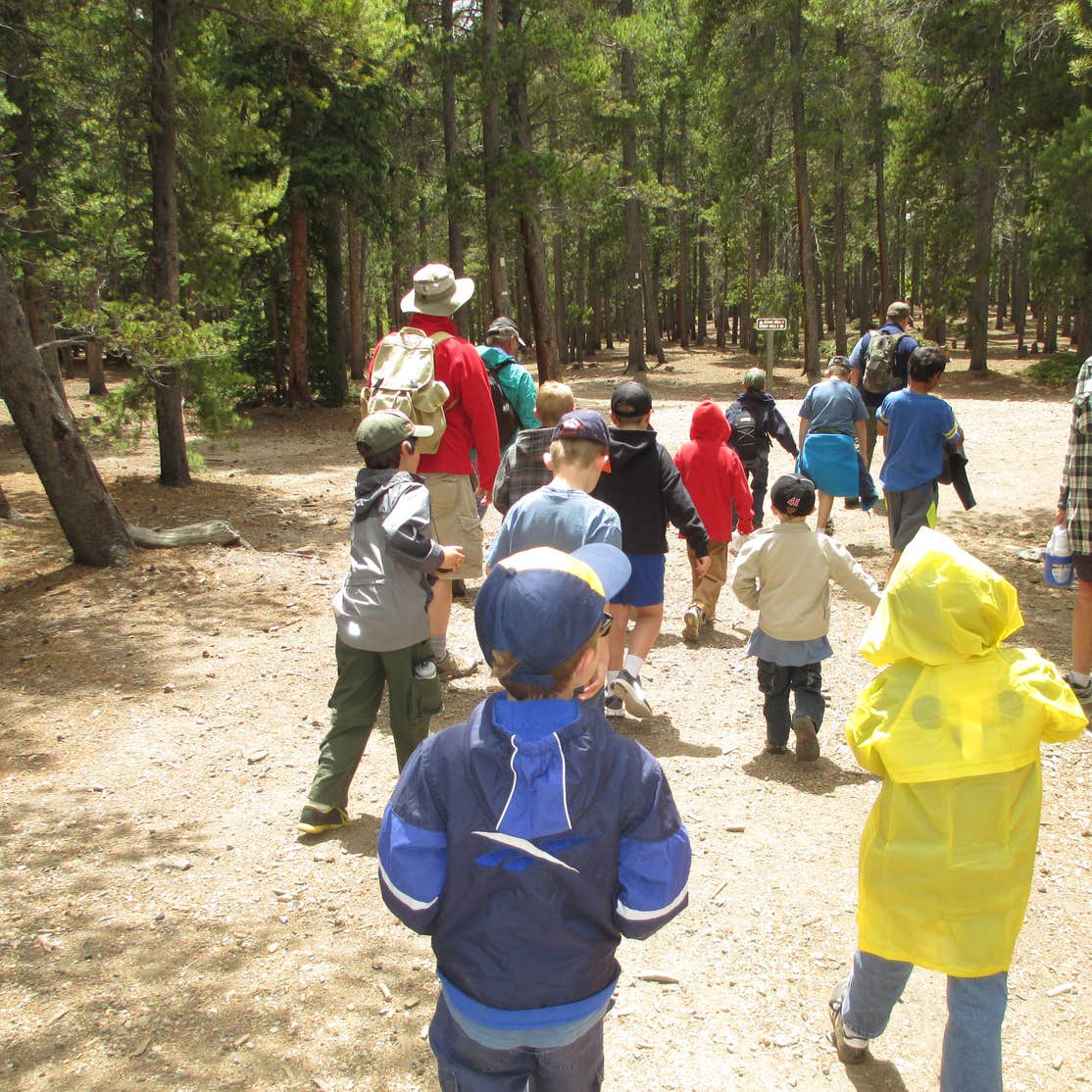Pickle Gulch Camping | Black Hawk, Colorado
