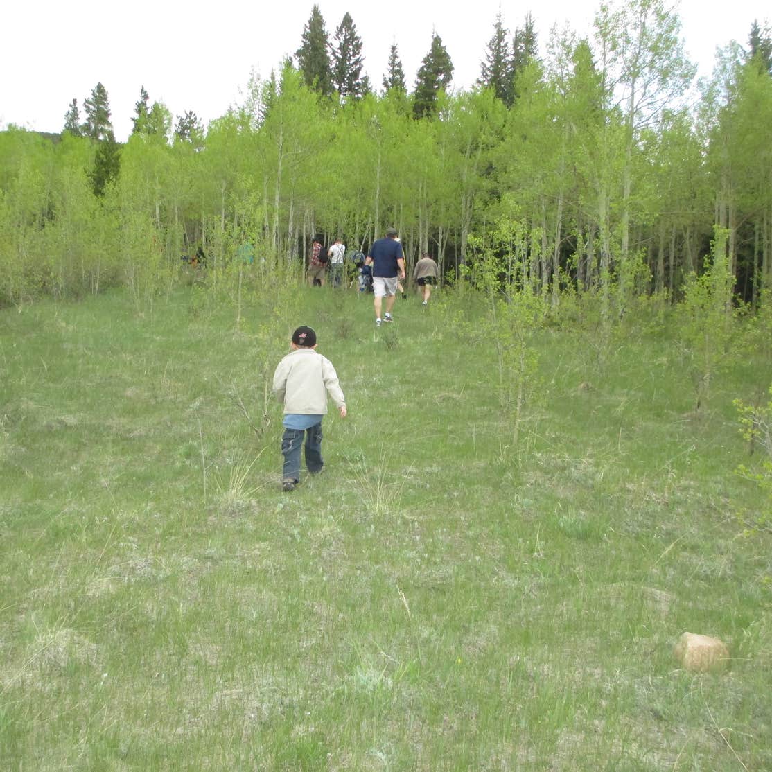 Pickle Gulch Camping | Black Hawk, Colorado