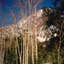 Angel Of Shavano Group — Psicc Camping | Monarch, Colorado