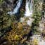 Angel Of Shavano Group — Psicc Camping | Monarch, Colorado