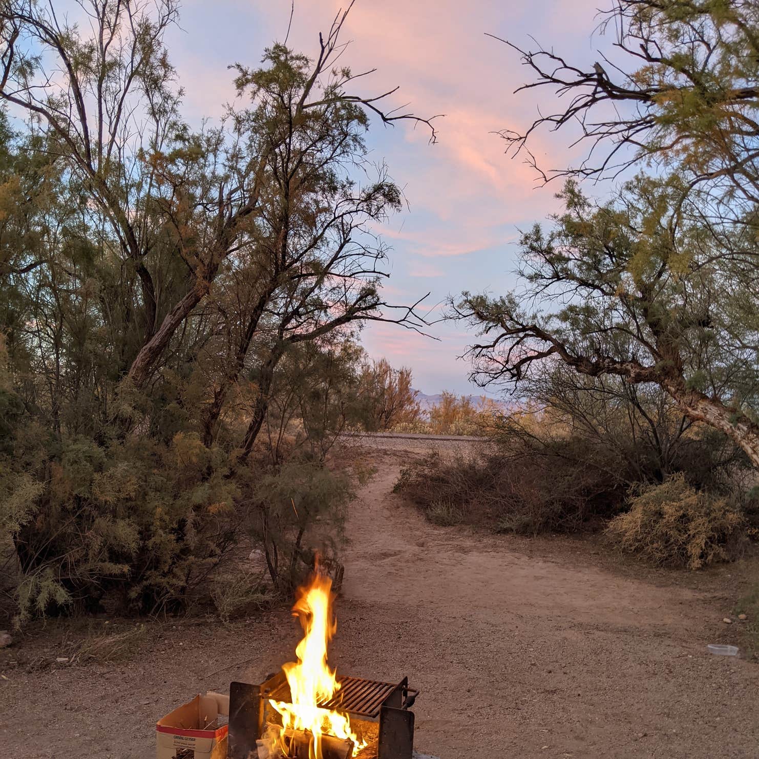Cottonwood Campground — Roper Lake State Park | Safford, AZ
