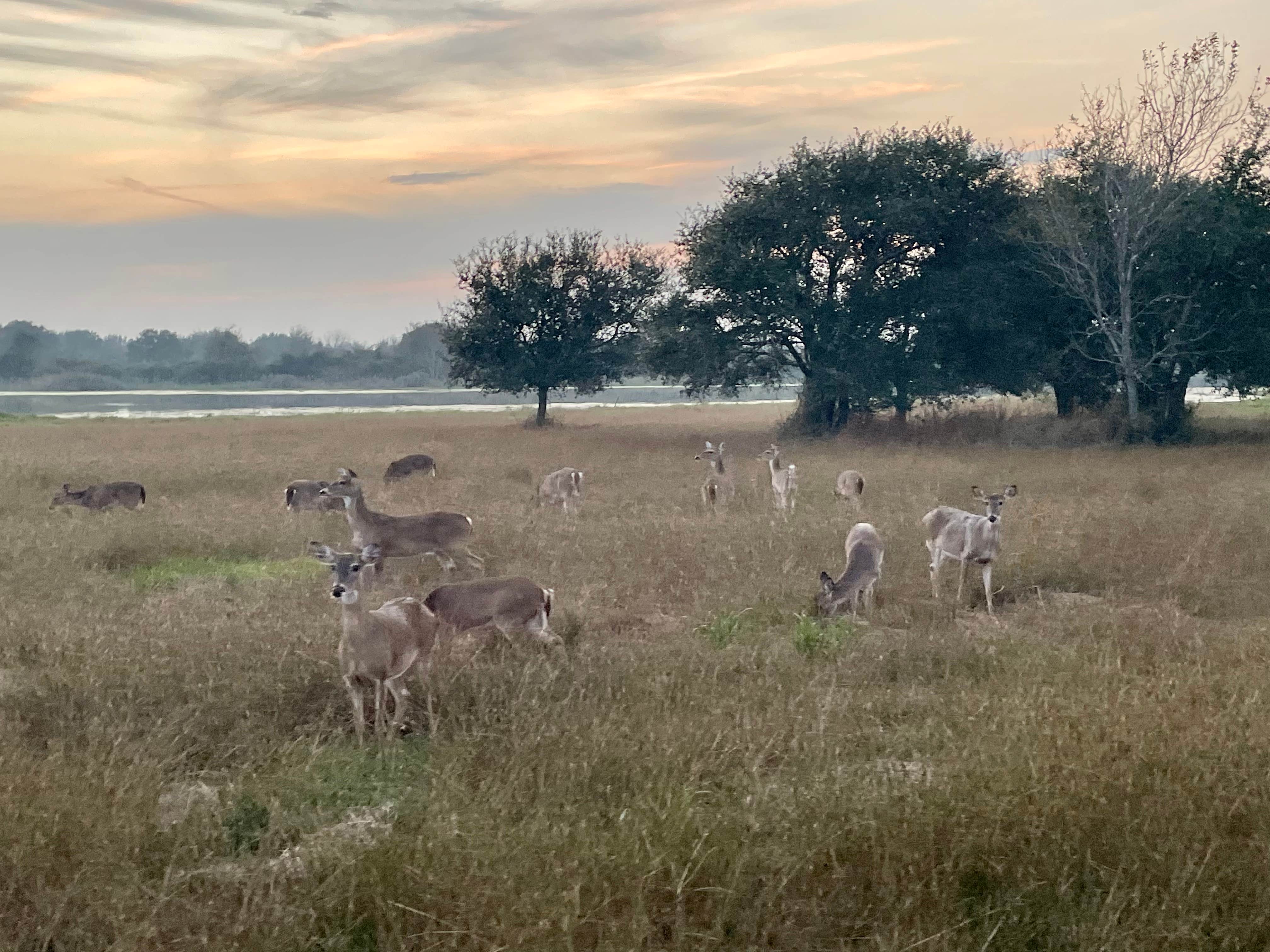 Brackenridge Recreation Complex Camping | Edna, TX