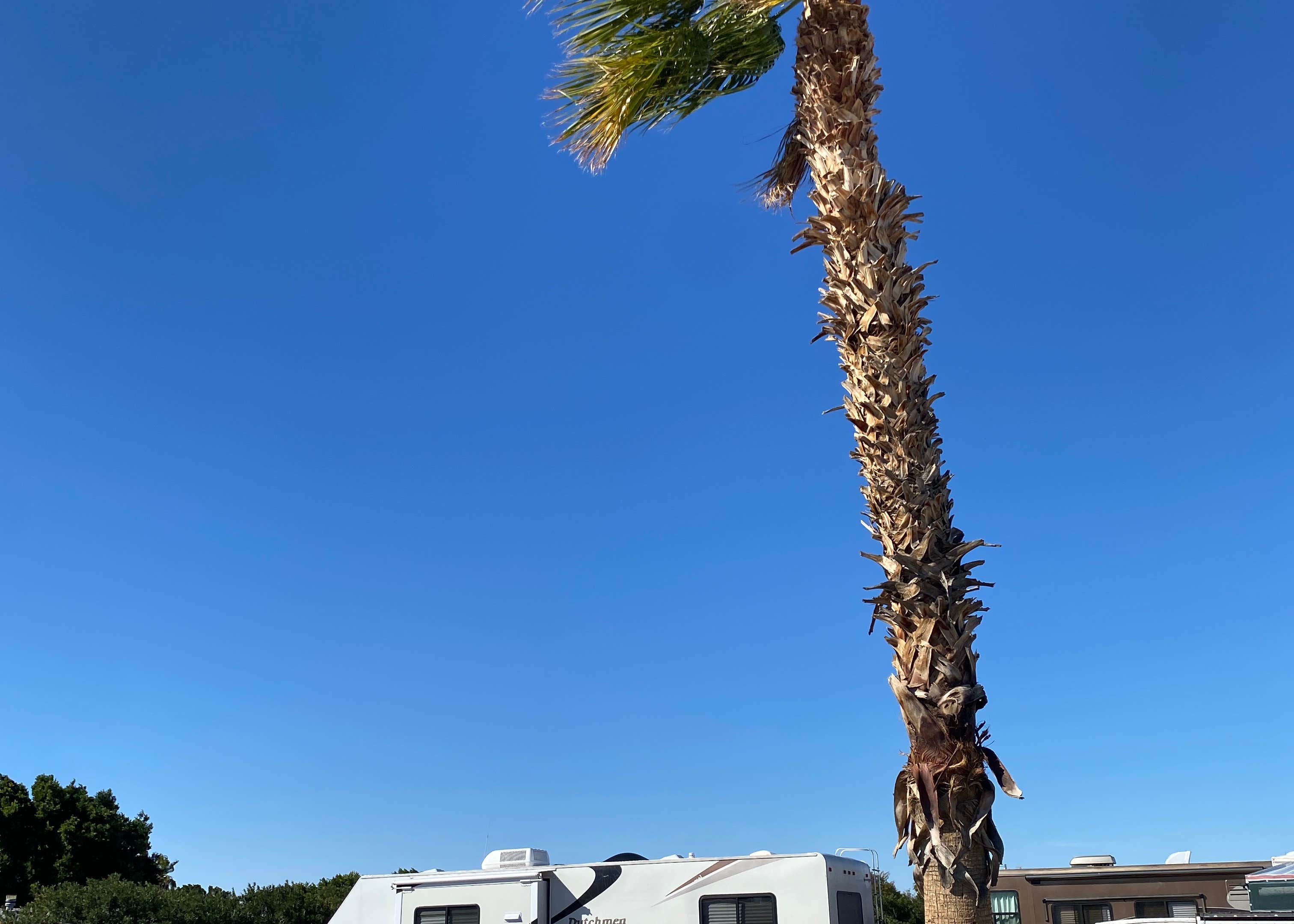 Caravan Oasis RV Resort Camping | The Dyrt