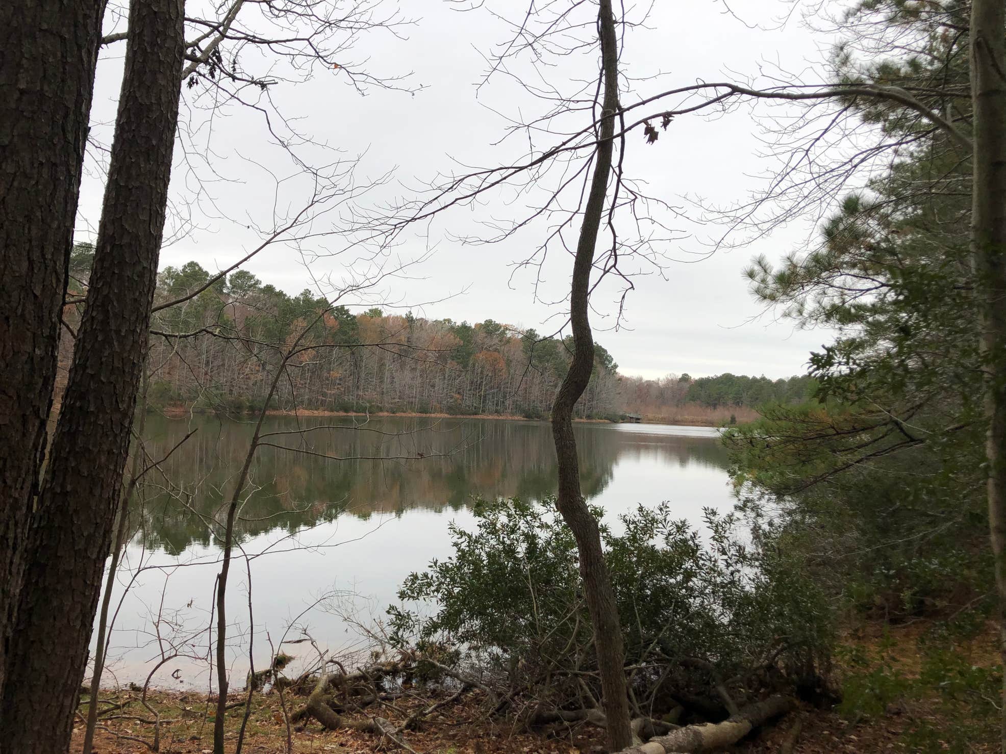 Sandy Bottom Nature Park Camping | The Dyrt