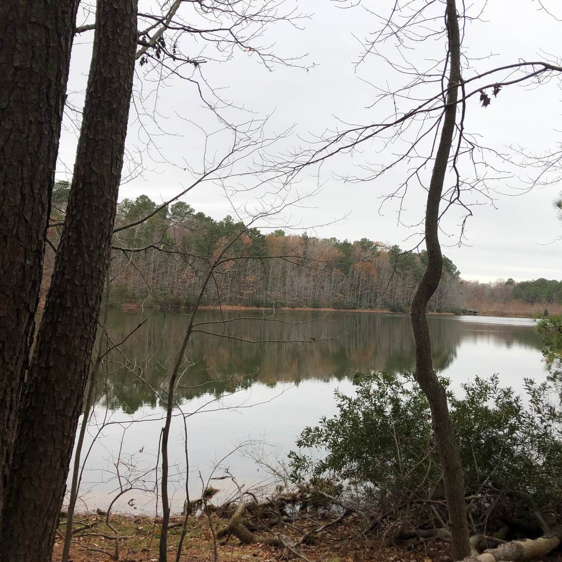 Sandy Bottom Nature Park Camping | Newport News, Virginia