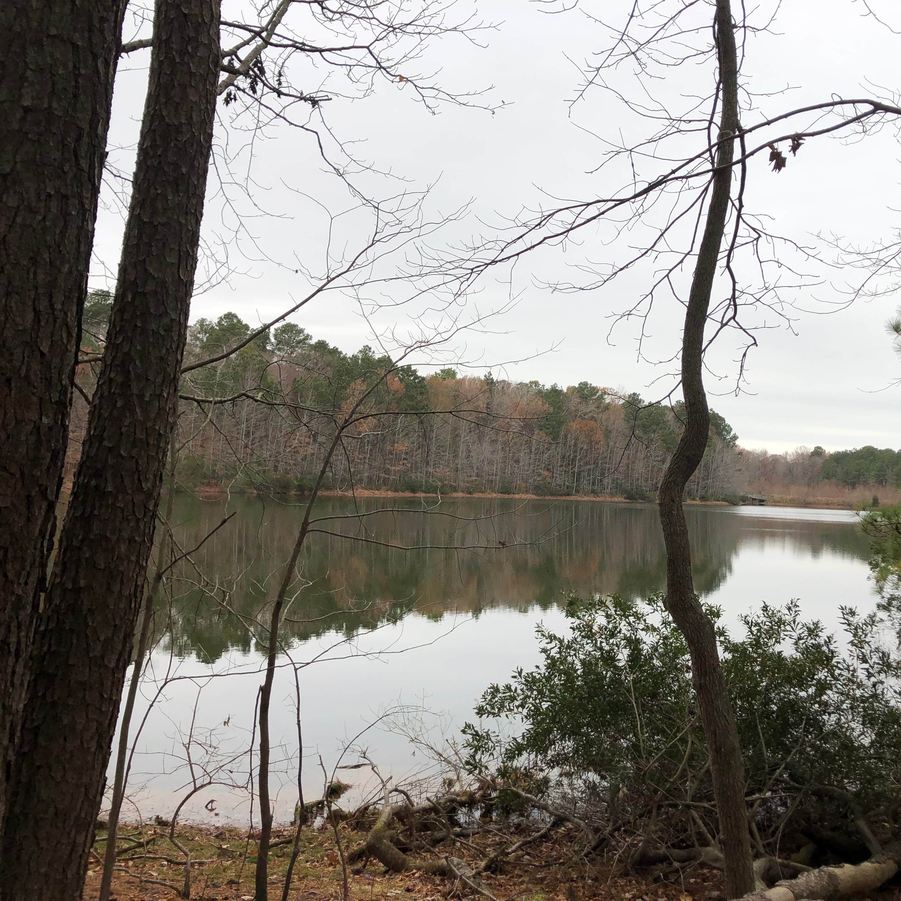 Sandy Bottom Nature Park Camping | Newport News, Virginia