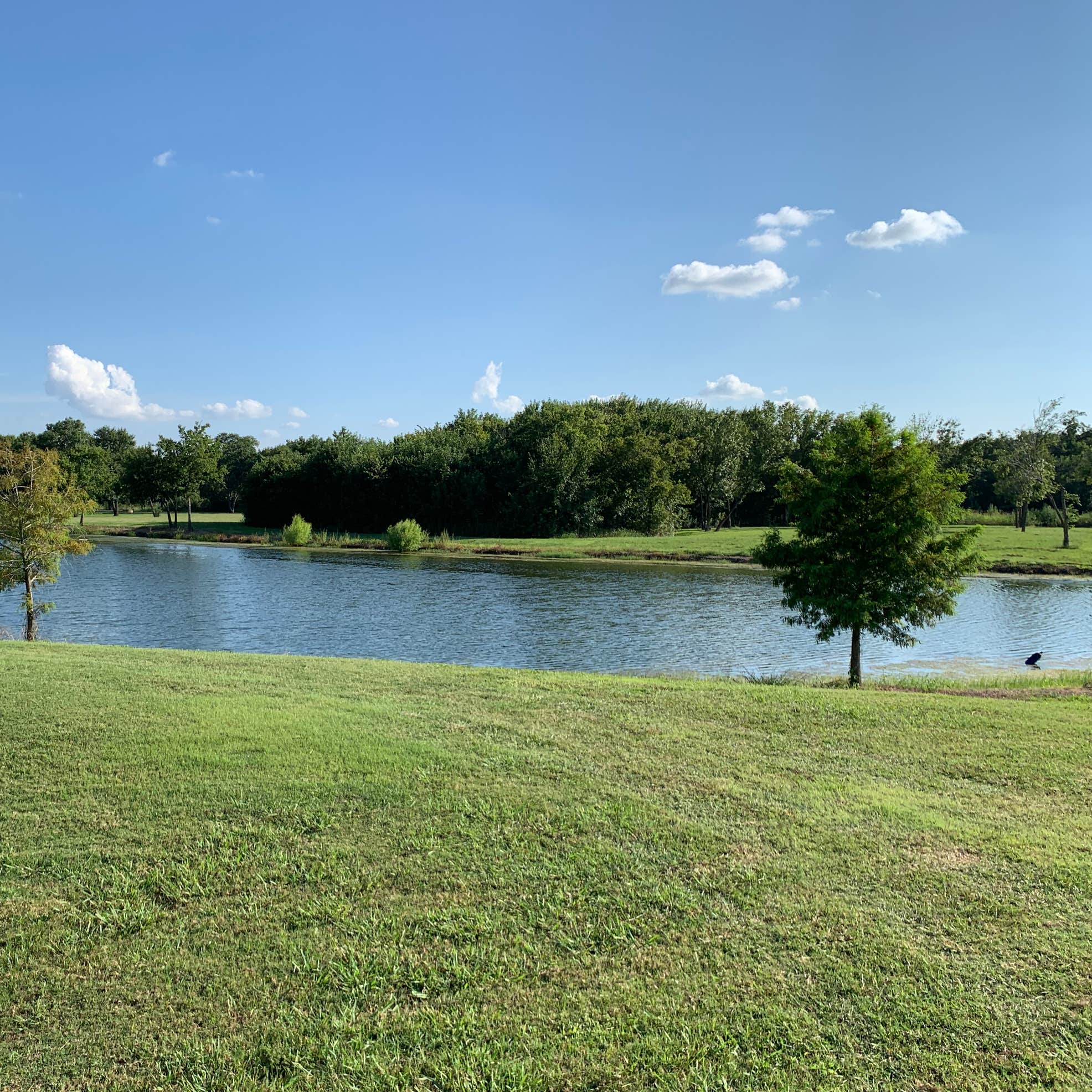 Plantation Place RV Park Dallas Camping | The Dyrt