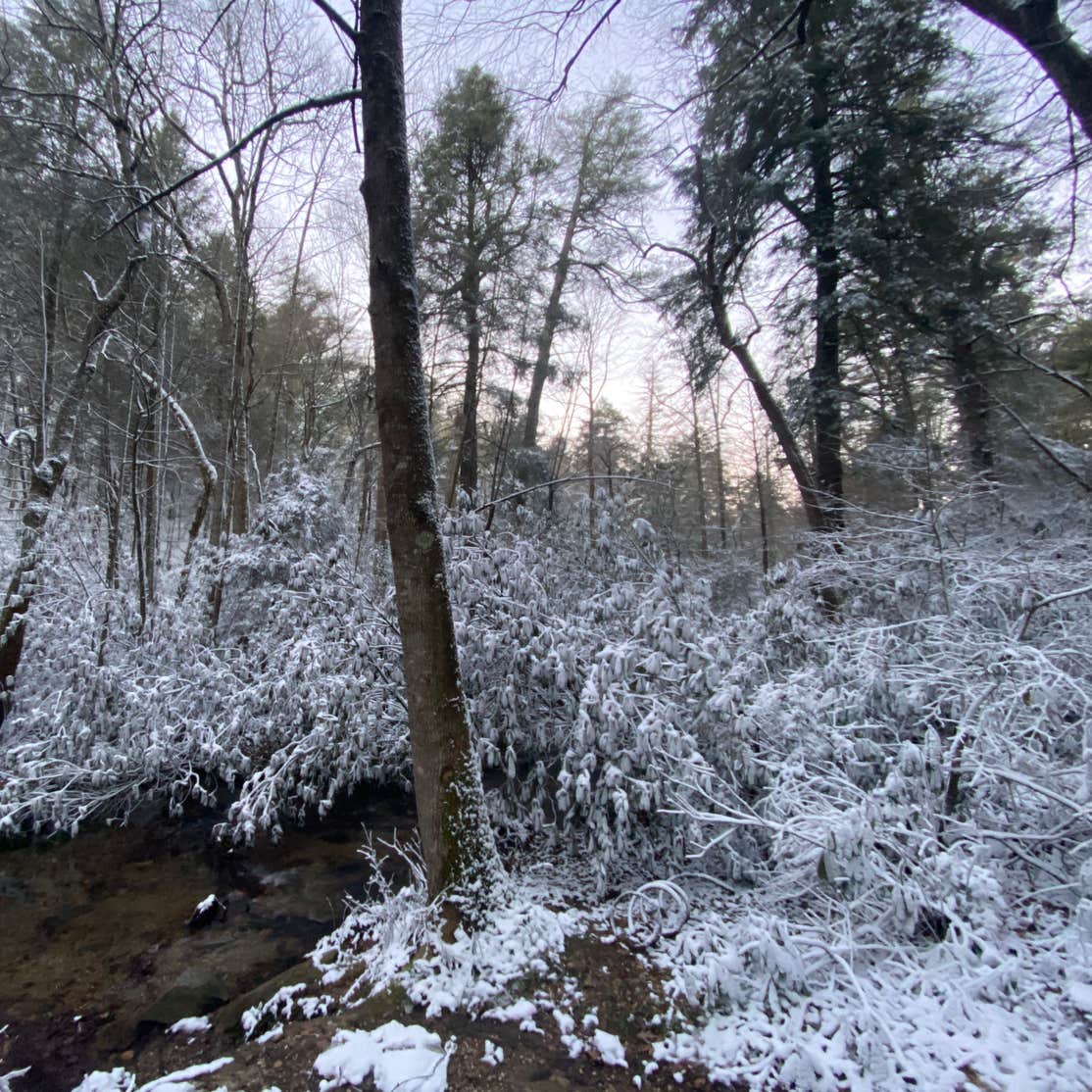 Three Forks Campground | Suches, Georgia