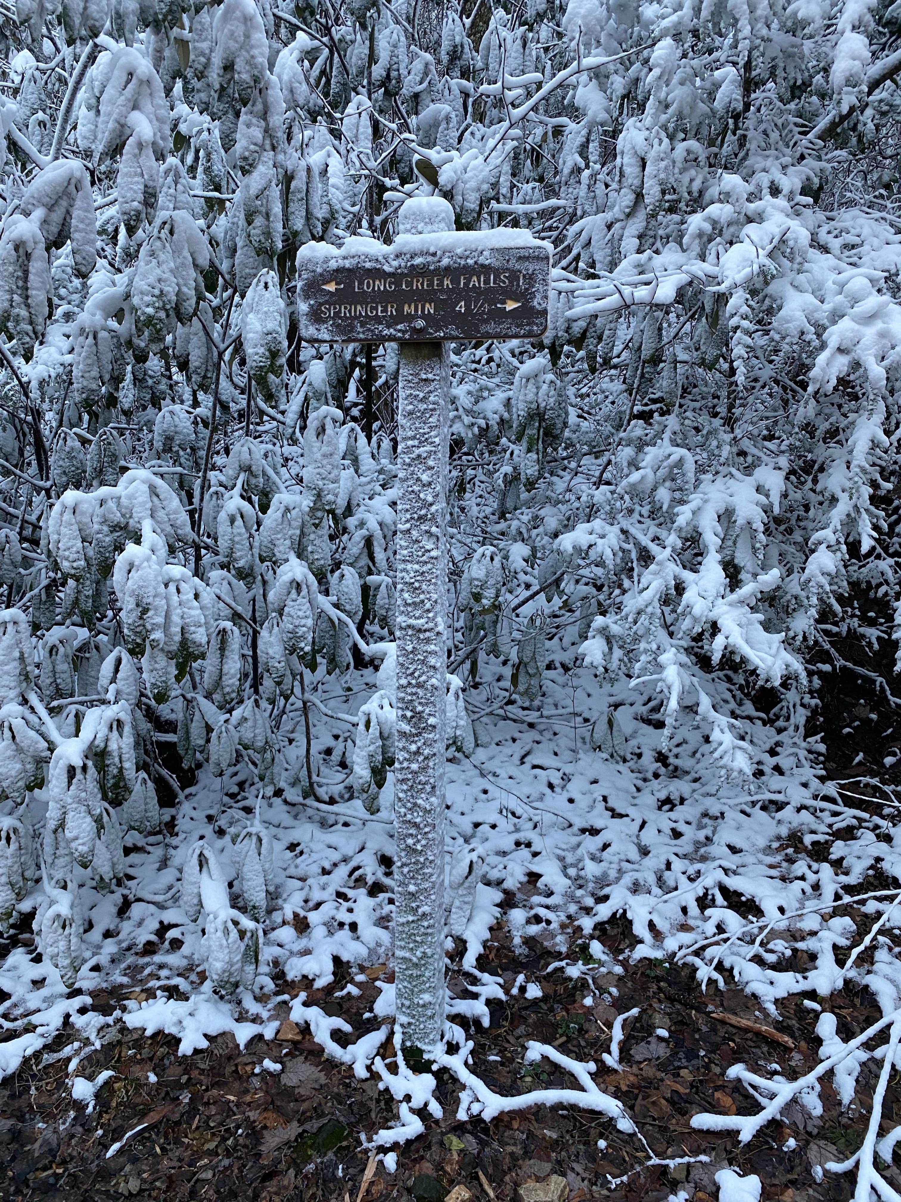 Three Forks Campground | Ellijay, GA