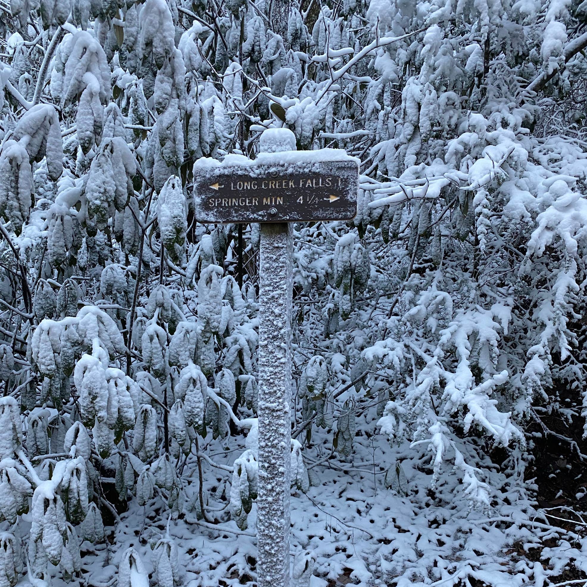 Three Forks Campground | Suches, Georgia