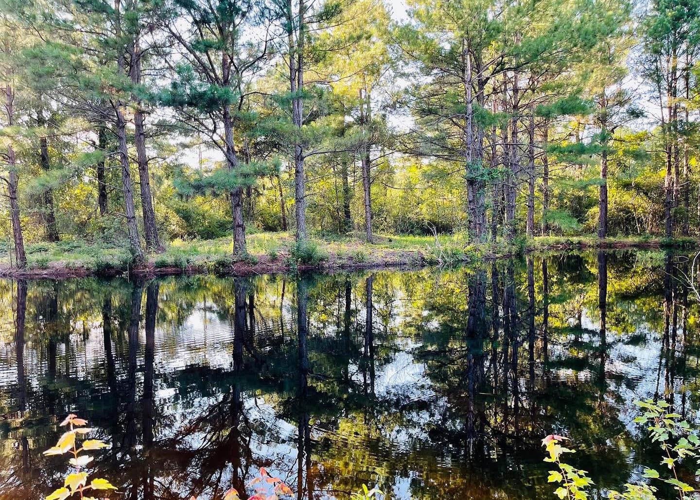 Sandy Ridge Campground & RV Resort Camping | The Dyrt