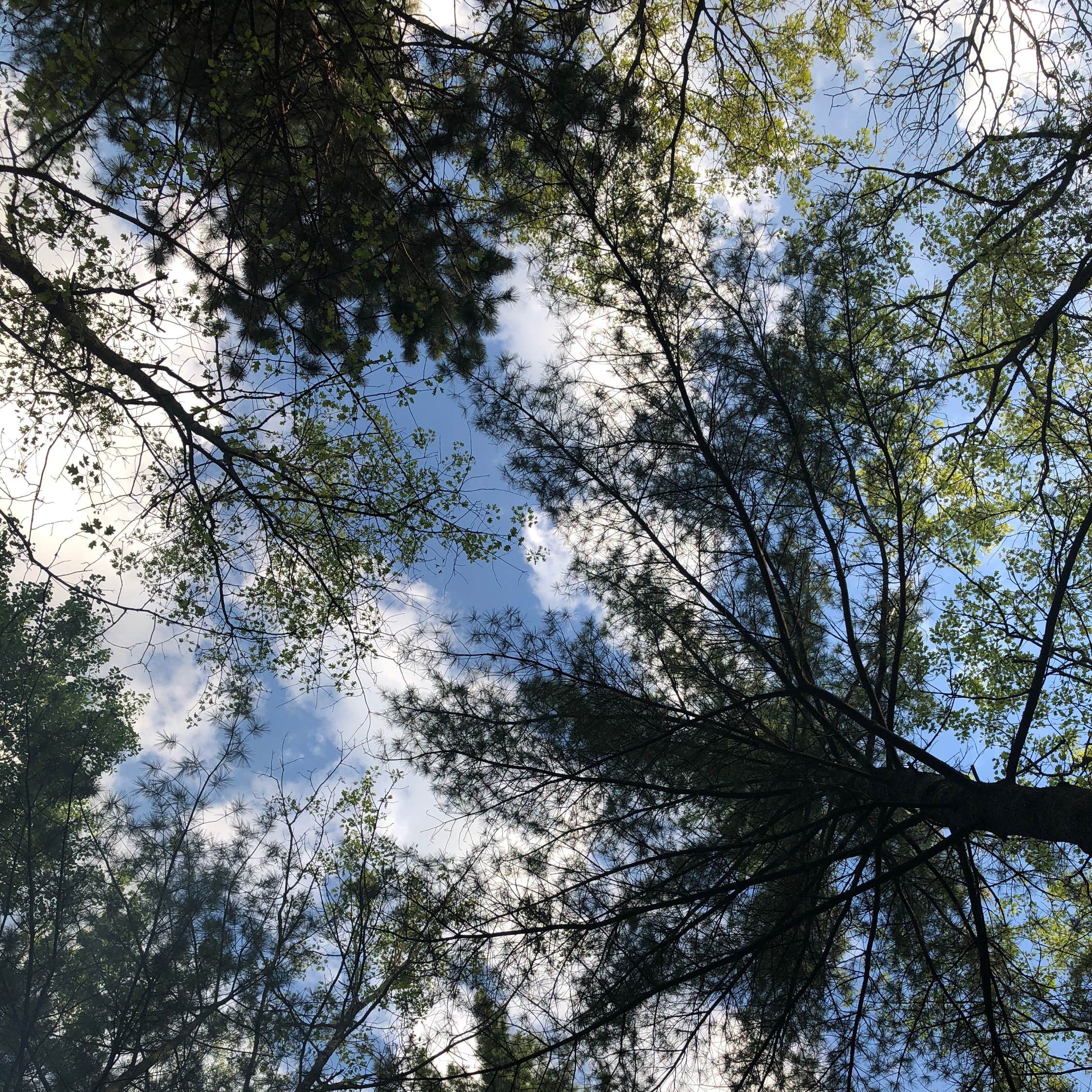 Jewell Lake Campground Camping | The Dyrt