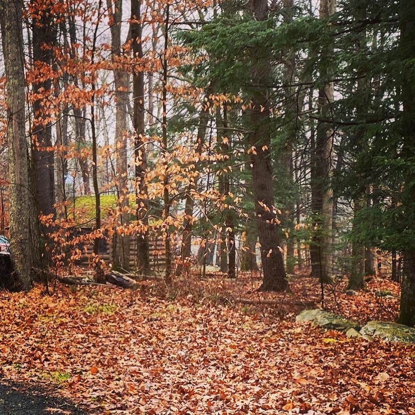 Stokes State Forest Camping | Branchville, NJ