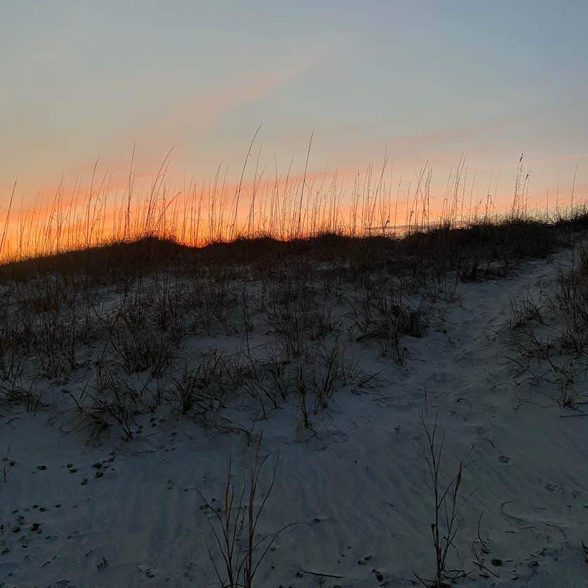 Freeman Park Camping | The Dyrt