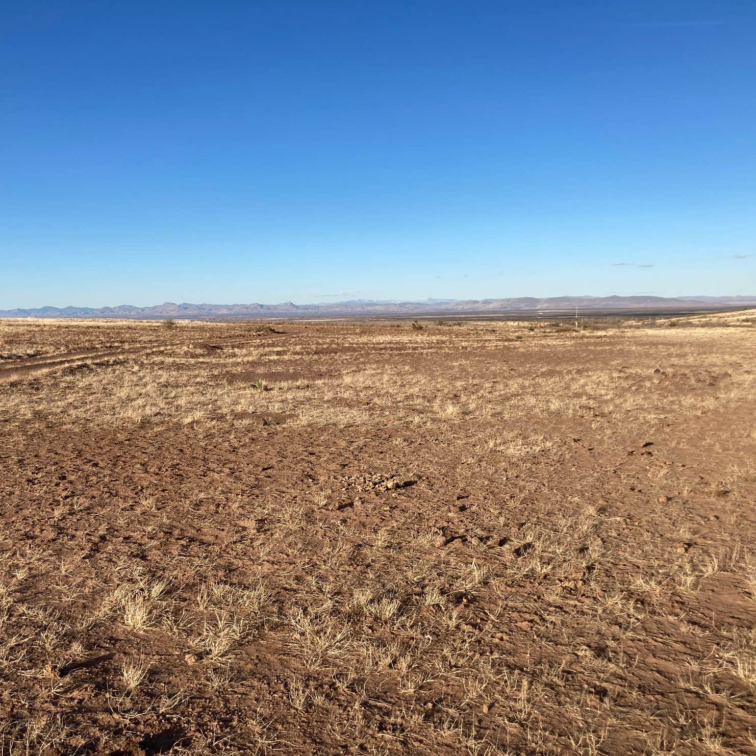 Round Mountain Rockhound Area - Dispersed Camping | The Dyrt