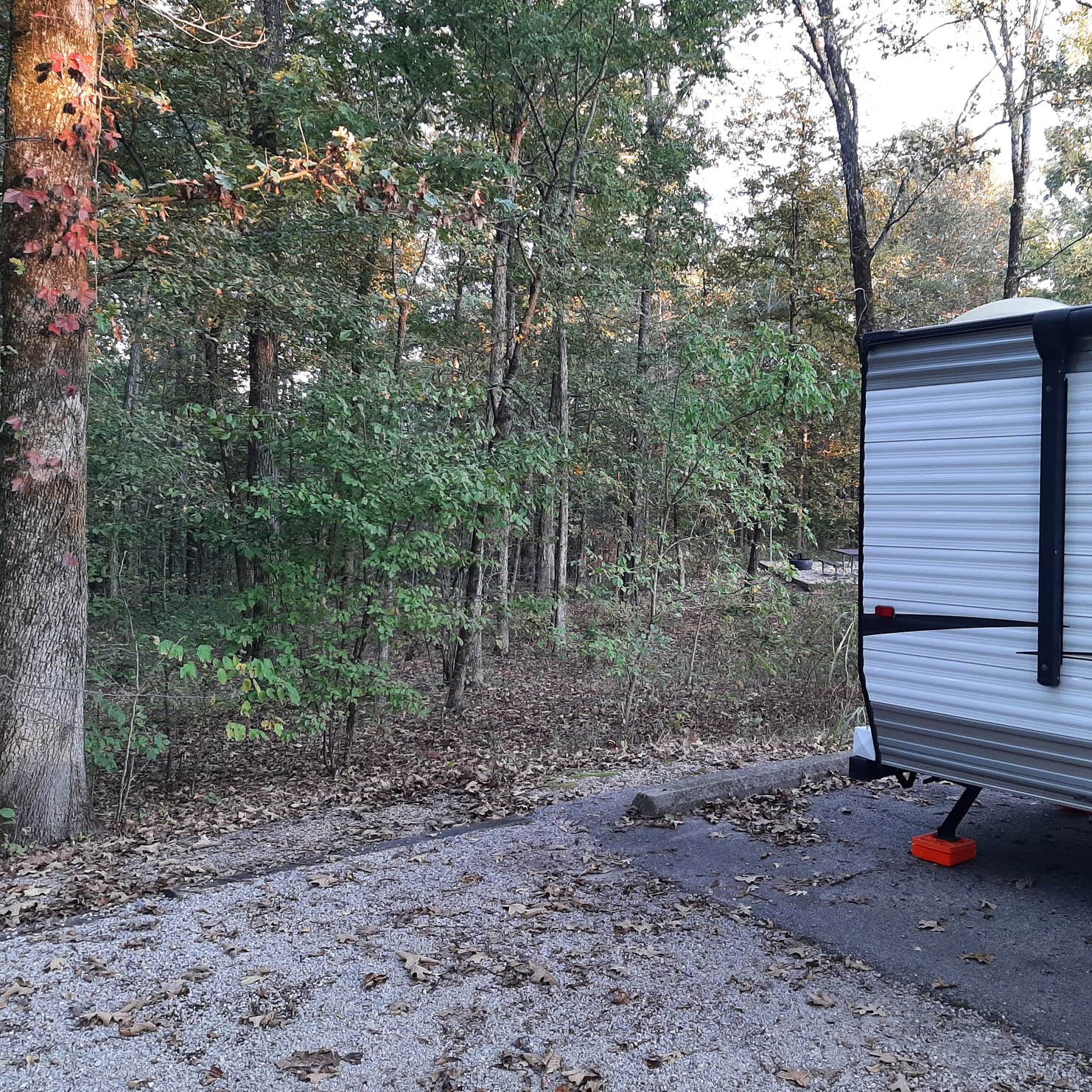 Redman Creek Recreation Area Camping | Wappapello, MO