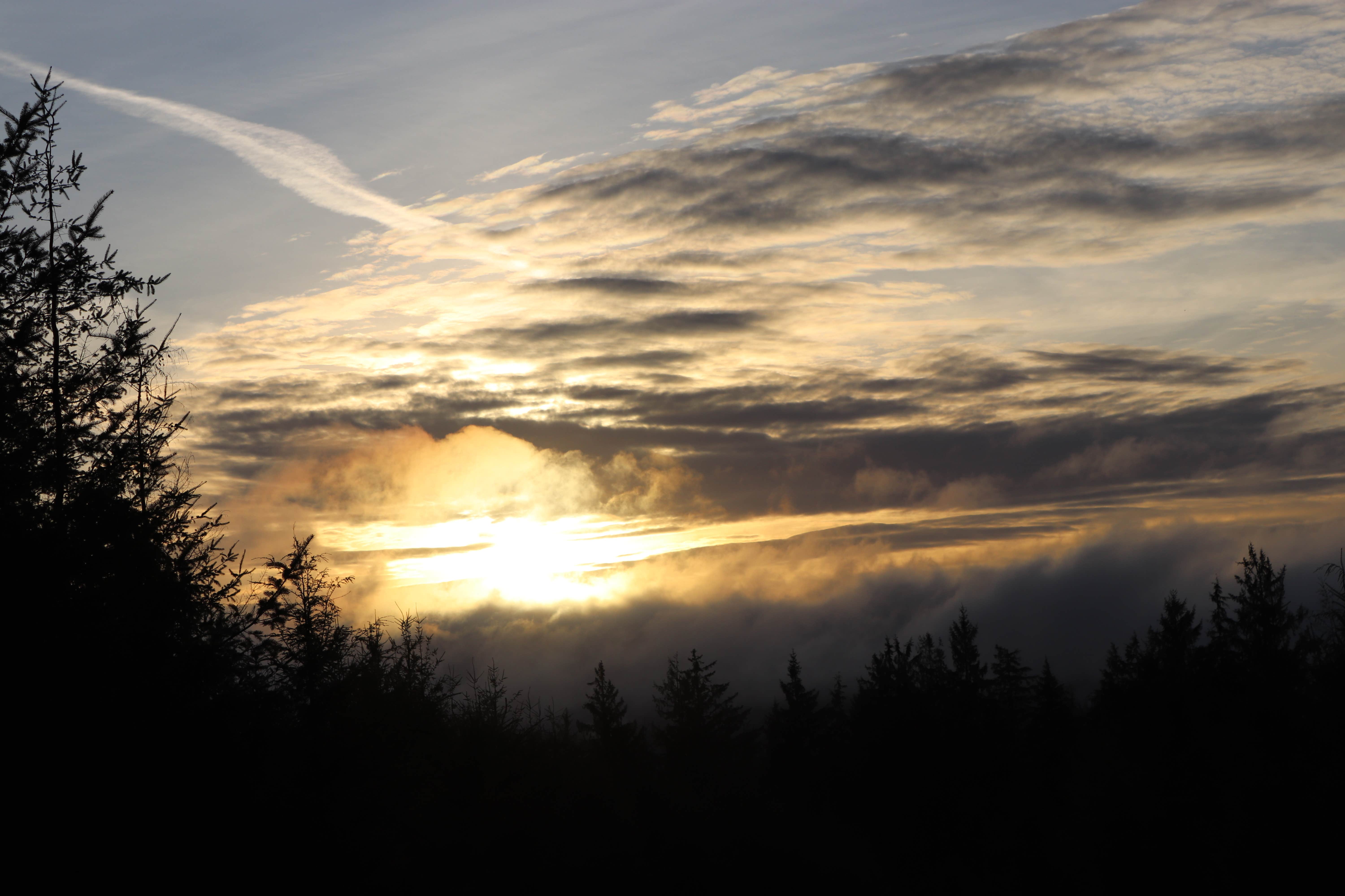 Road to Snag Lake - Dispersed Camping | The Dyrt
