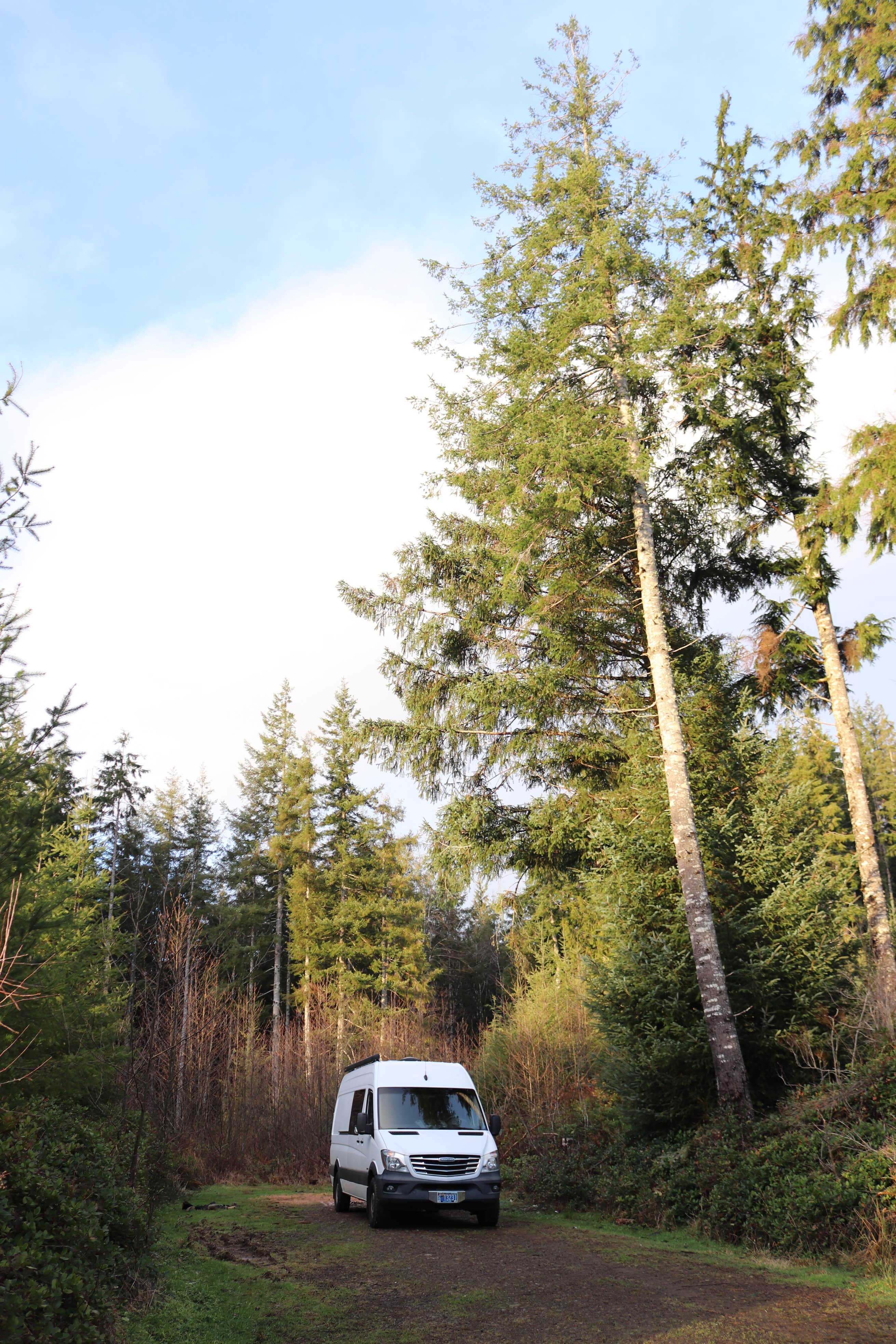 Road to Snag Lake - Dispersed Camping | The Dyrt