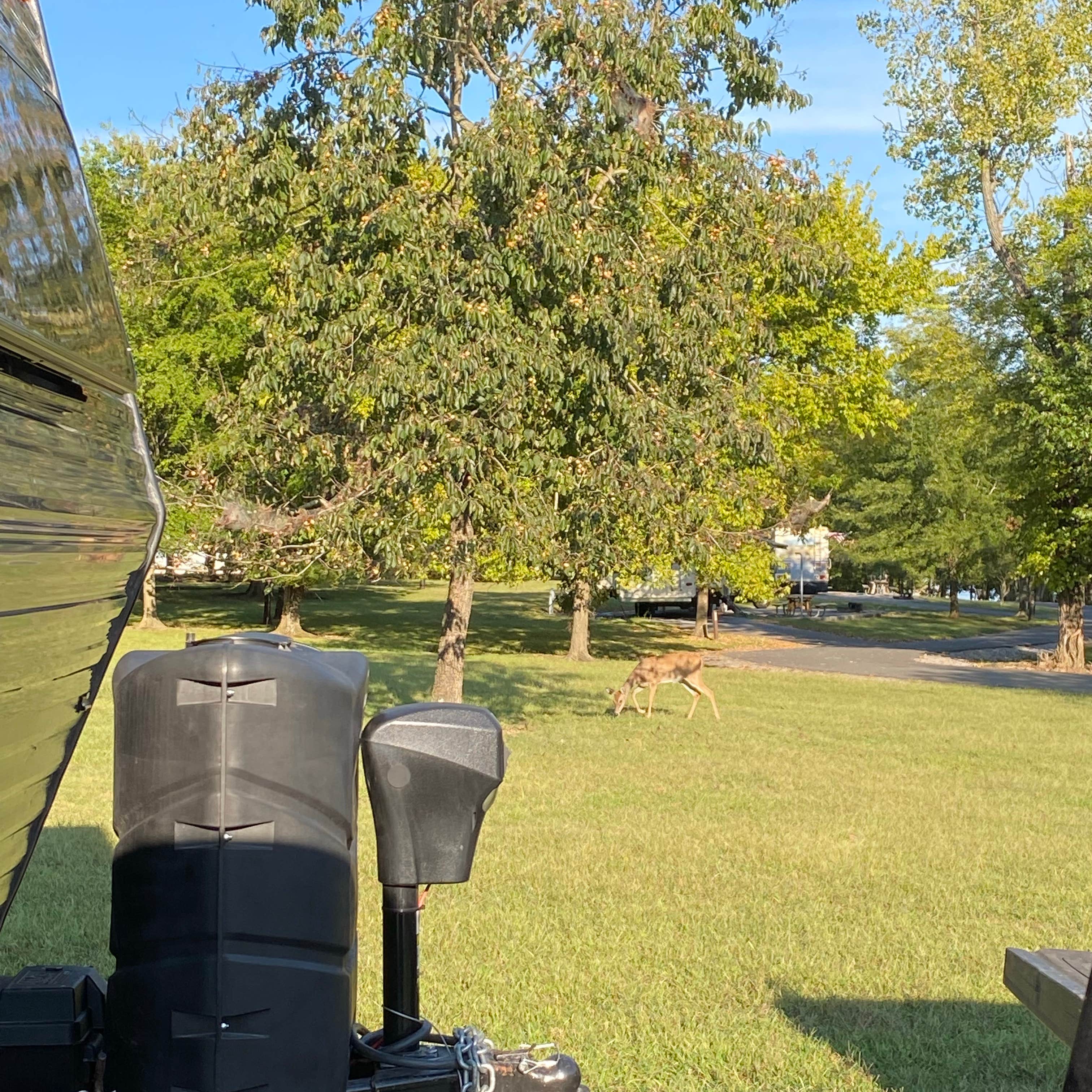 Canal - Lake Barkley Camping | The Dyrt