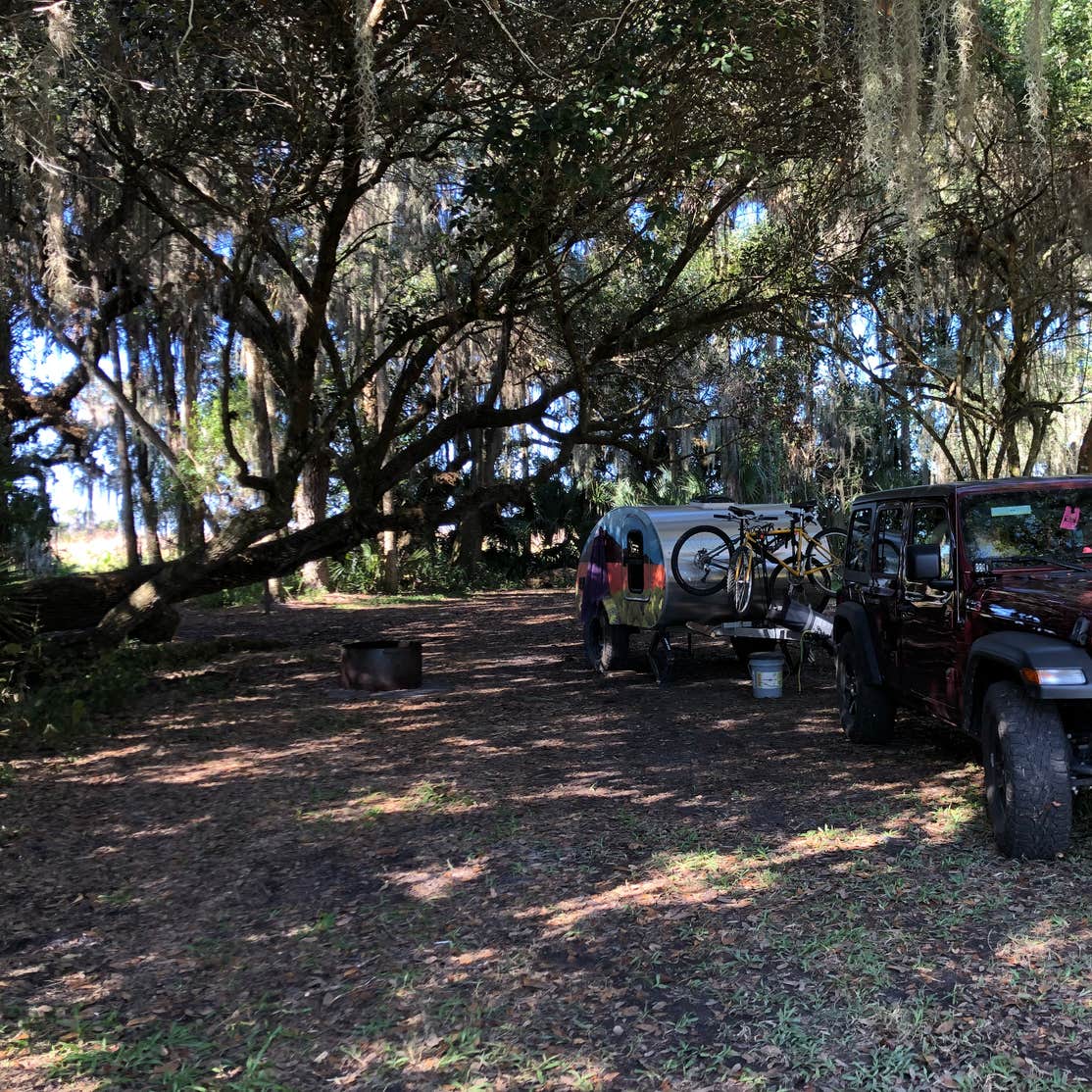 Dinner Island Ranch WMA Camping | Immokalee, Florida