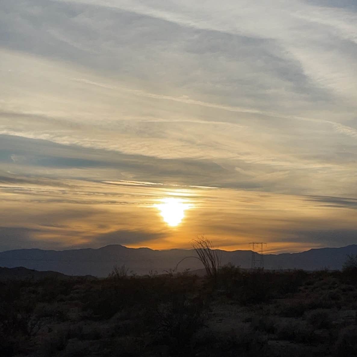 Joshua tree BLM by entrance Camping | The Dyrt
