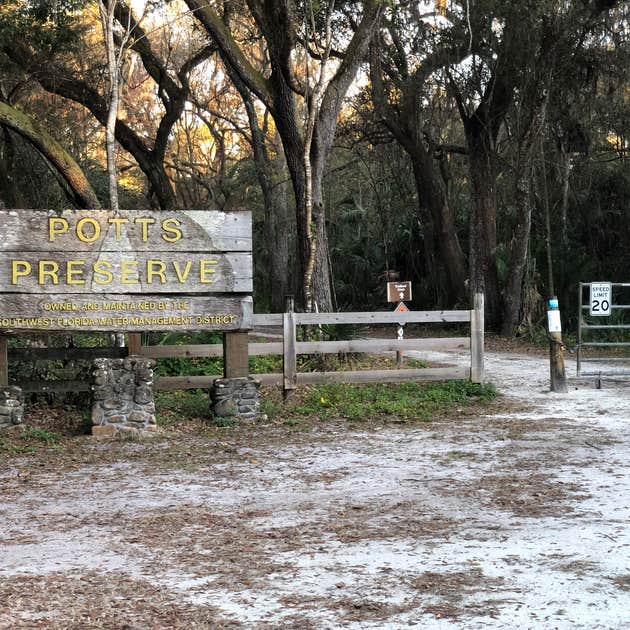 Potts Preserve Camping | Hernando, Florida