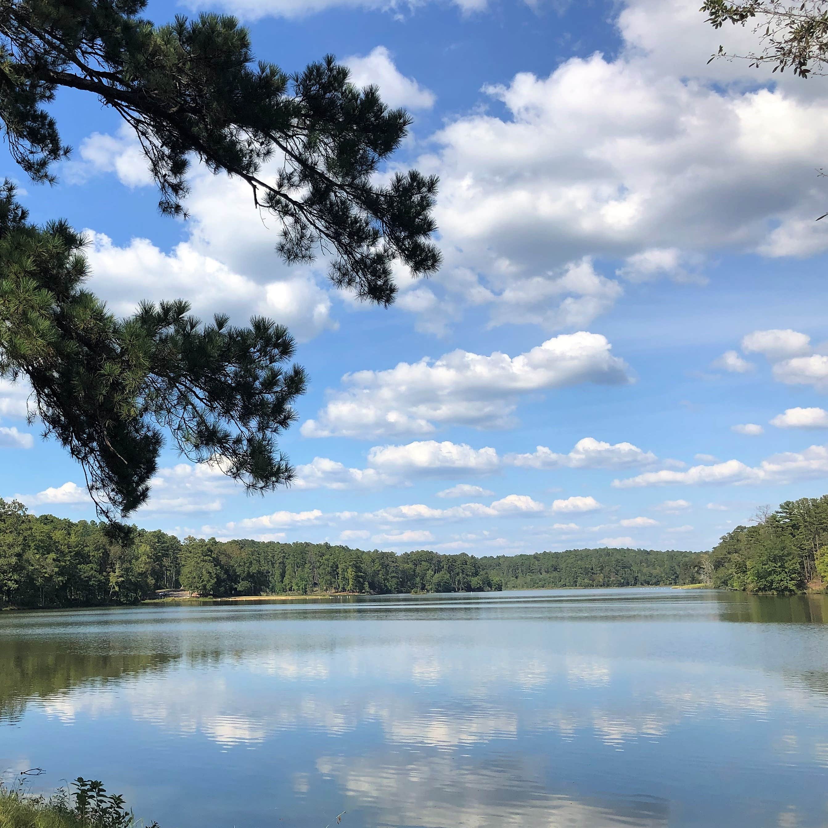 Open Pond Recreation Area Camping | The Dyrt