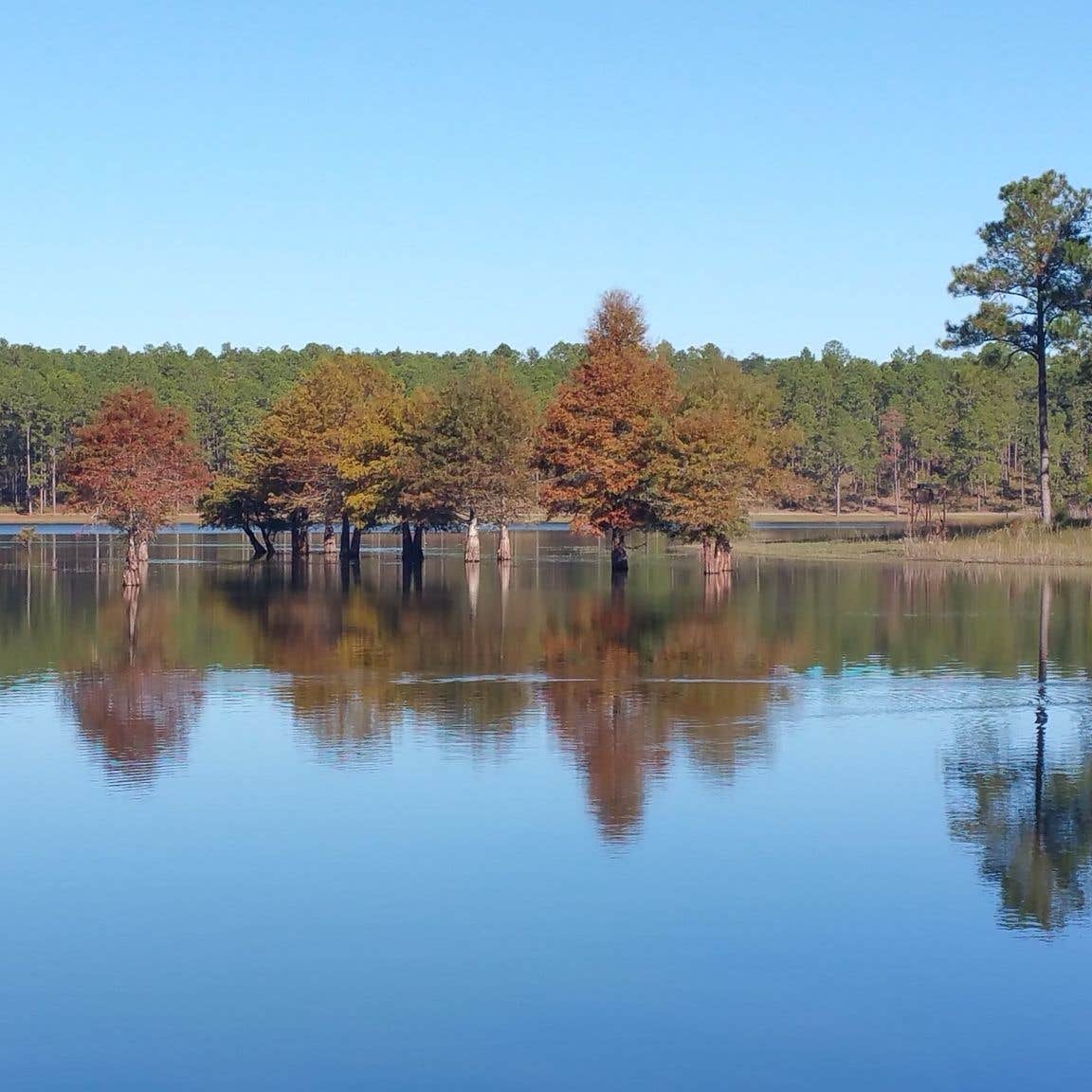 Open Pond Recreation Area Camping | The Dyrt