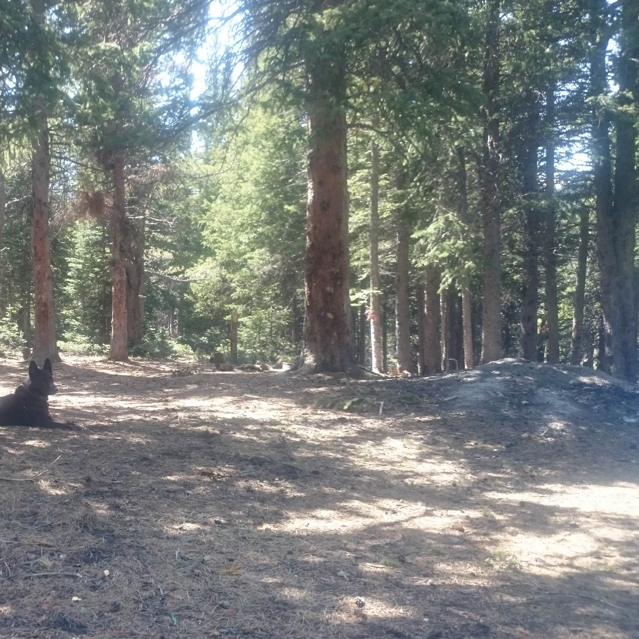 Rainbow Lakes Campground Camping | The Dyrt