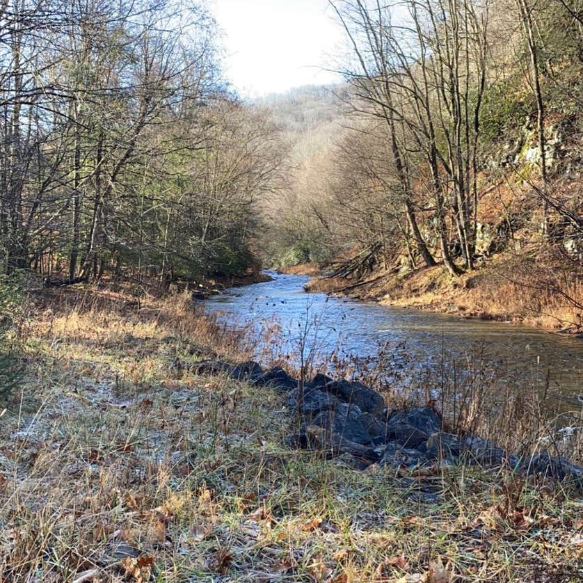 Gandy Creek Dispersed Camping | Whitmer, WV
