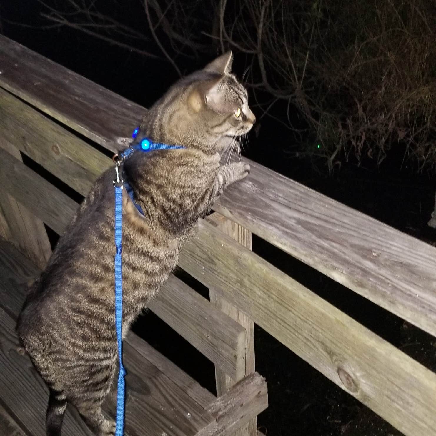 Sun Lake RV Resort | Ruskin, Florida