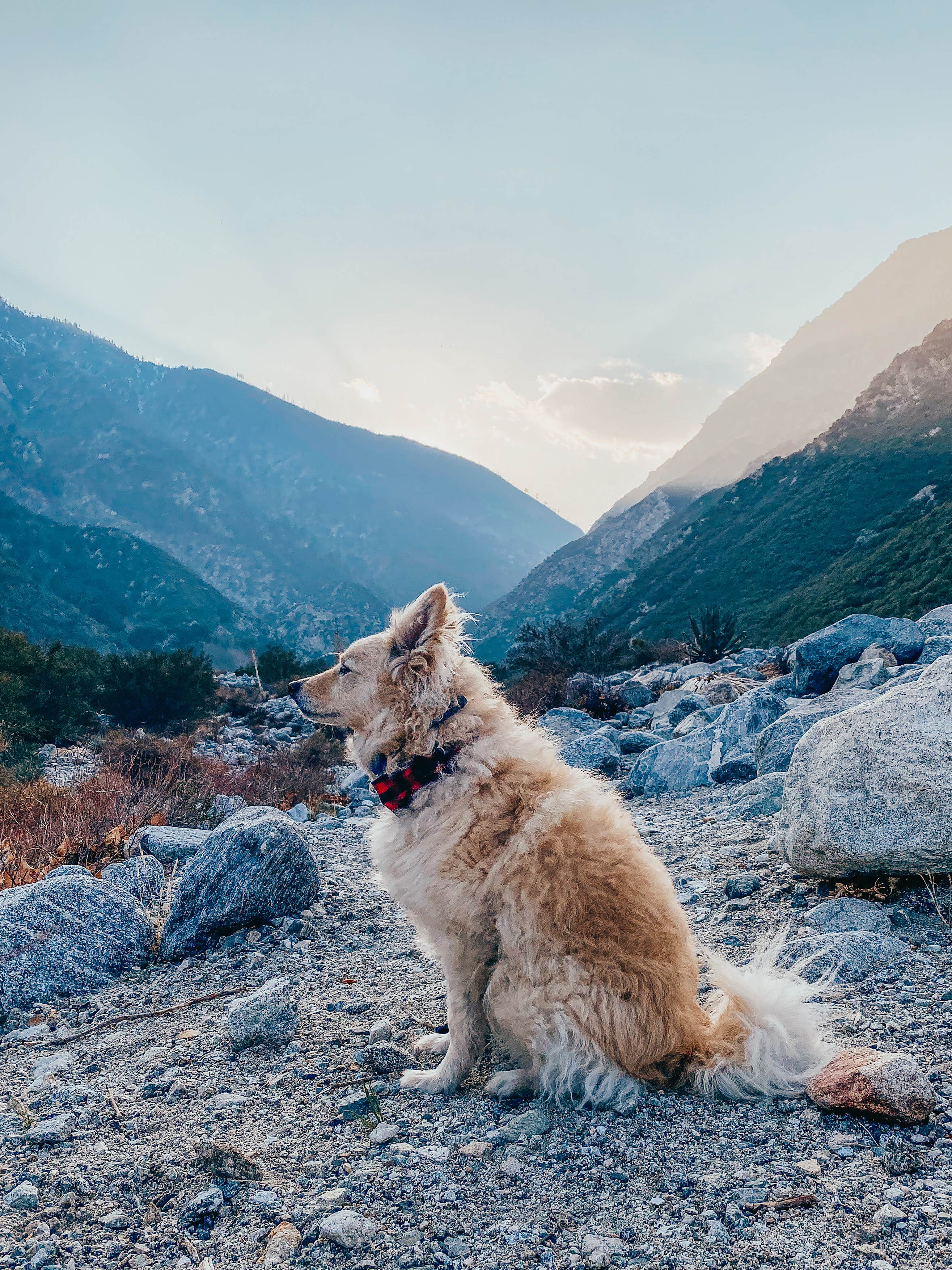 Bonita Ranch Campground | Lytle Creek, CA