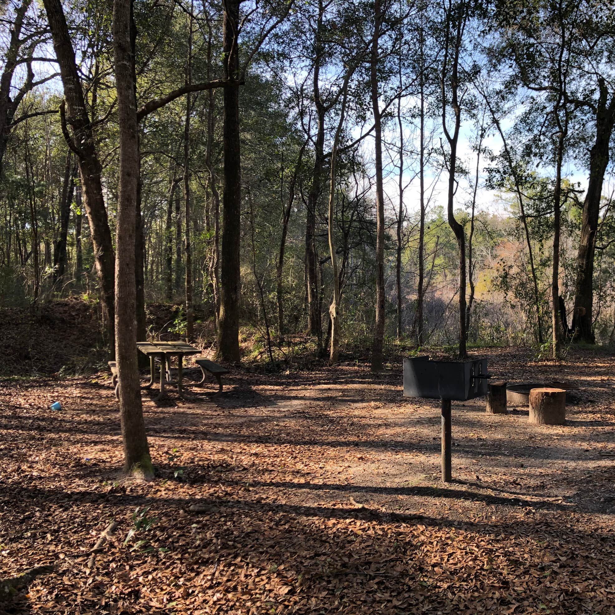 Mystic Springs Recreation Area Camping | The Dyrt