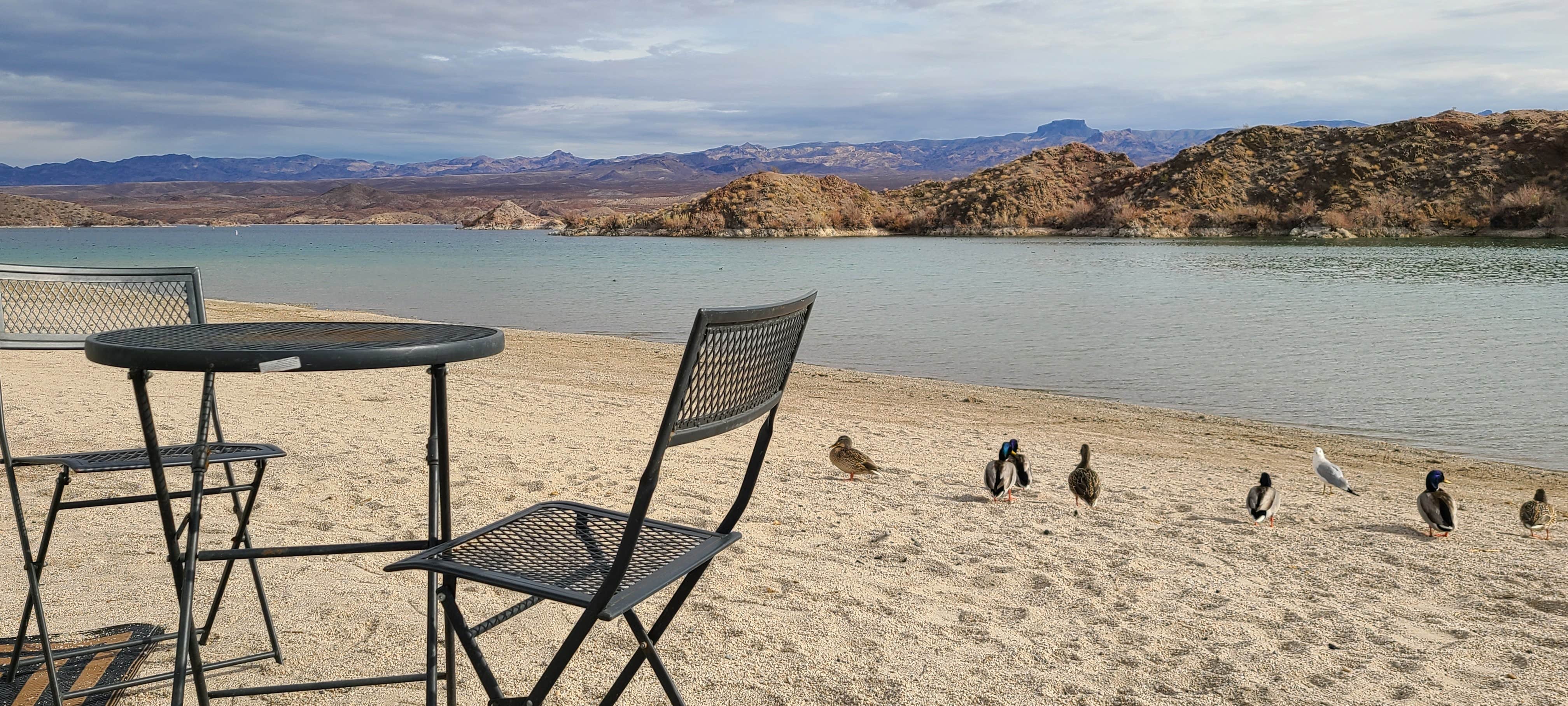Lake Mohave - Nevada Telephone Cove — Lake Mead National Recreation ...