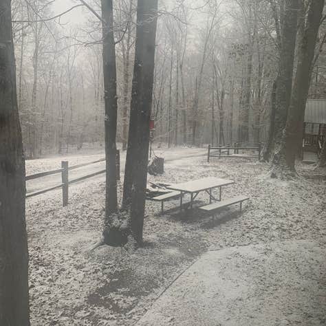 Paradise Lake & Campground Camping | The Dyrt