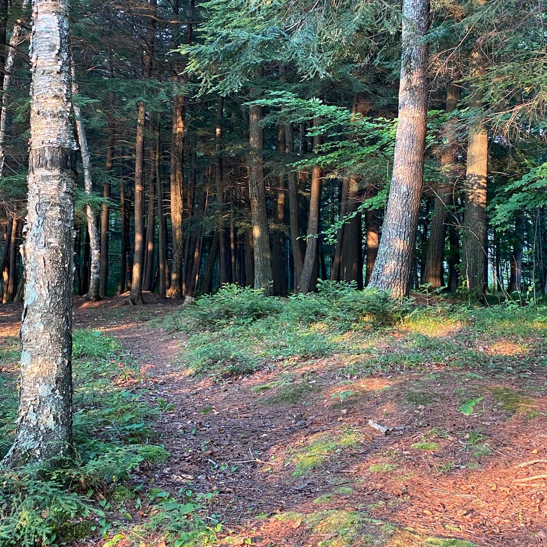 Connors Lake Campground — Flambeau River State Forest | Winter, WI