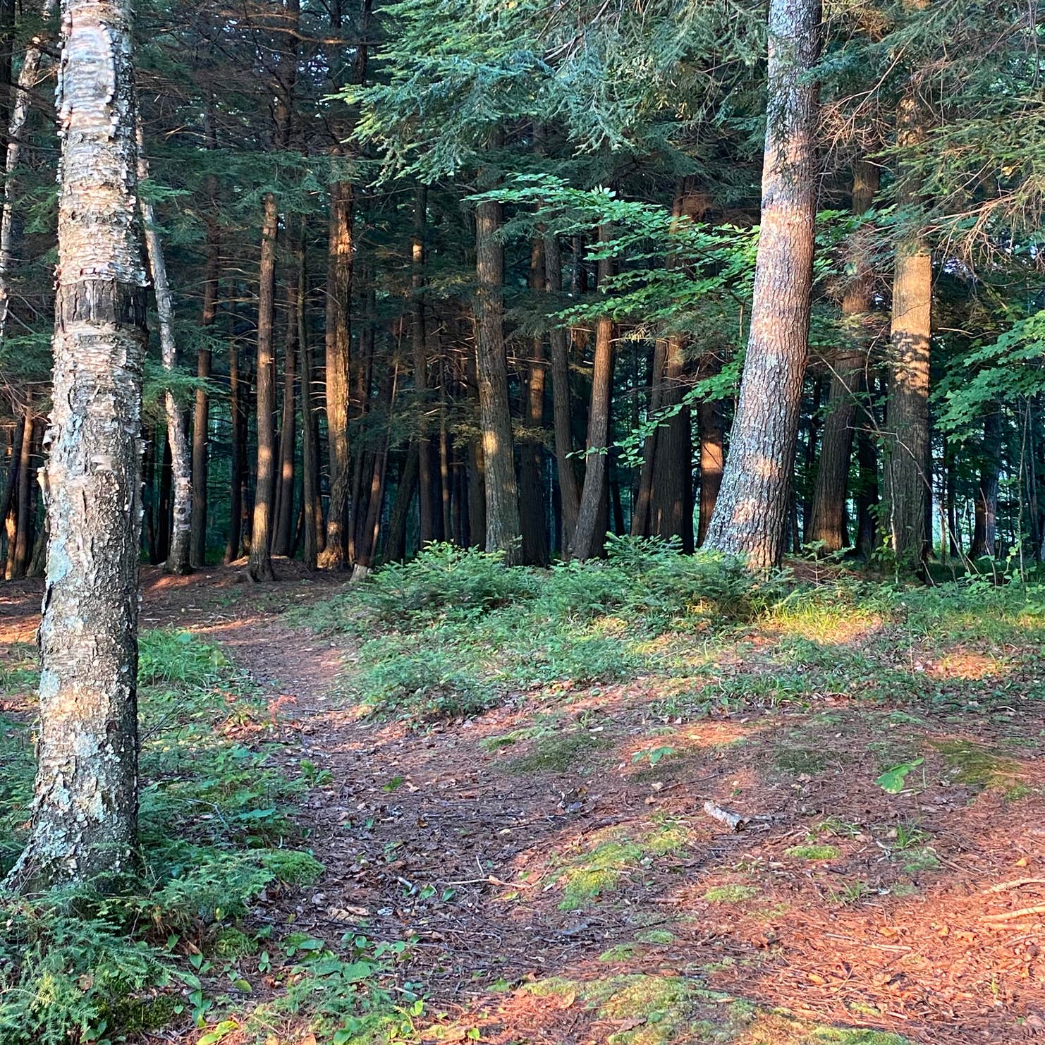 Connors Lake Campground — Flambeau River State Forest | Winter, WI