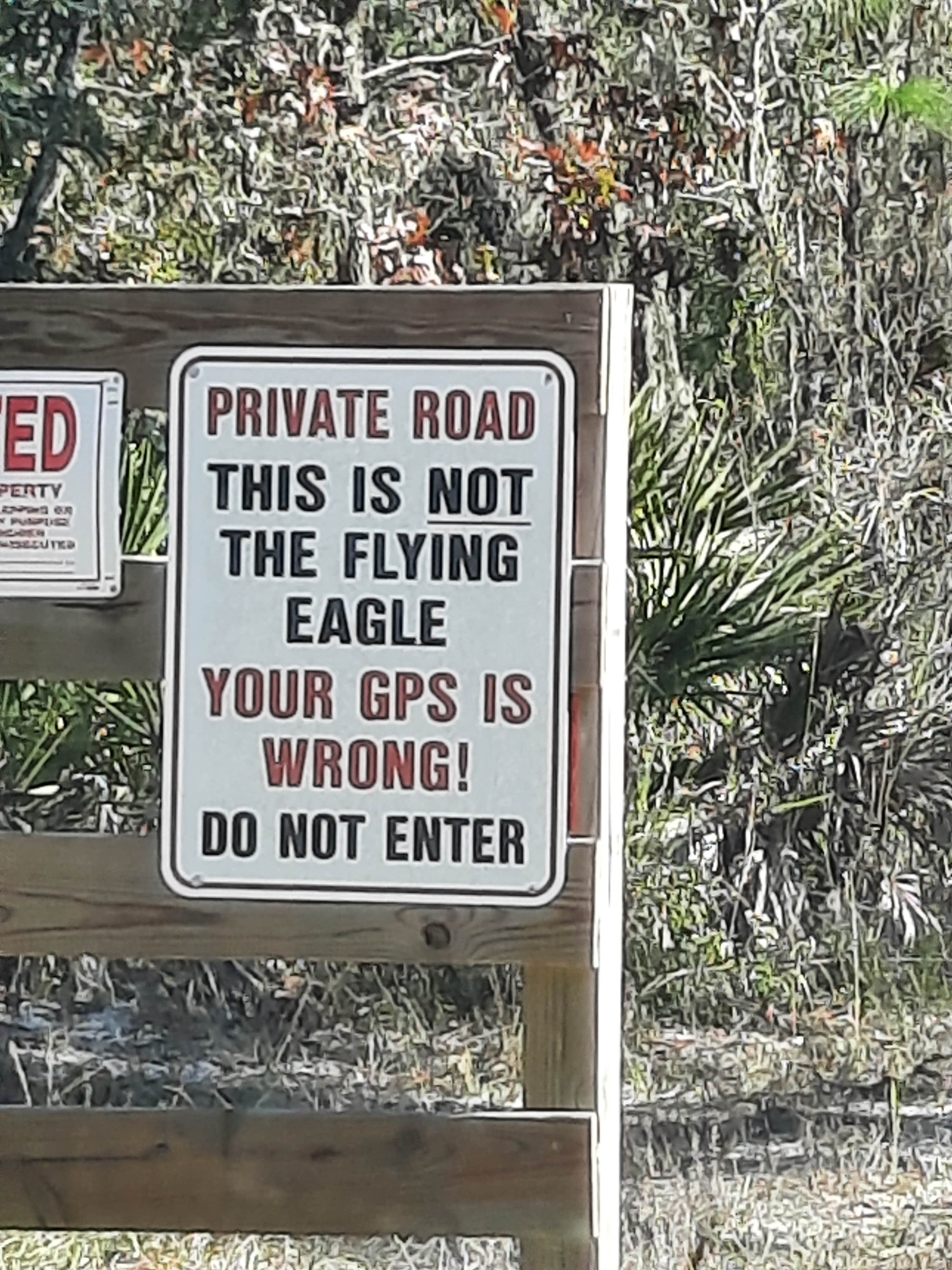 Flying Eagle Preserve Camping | Inverness, FL