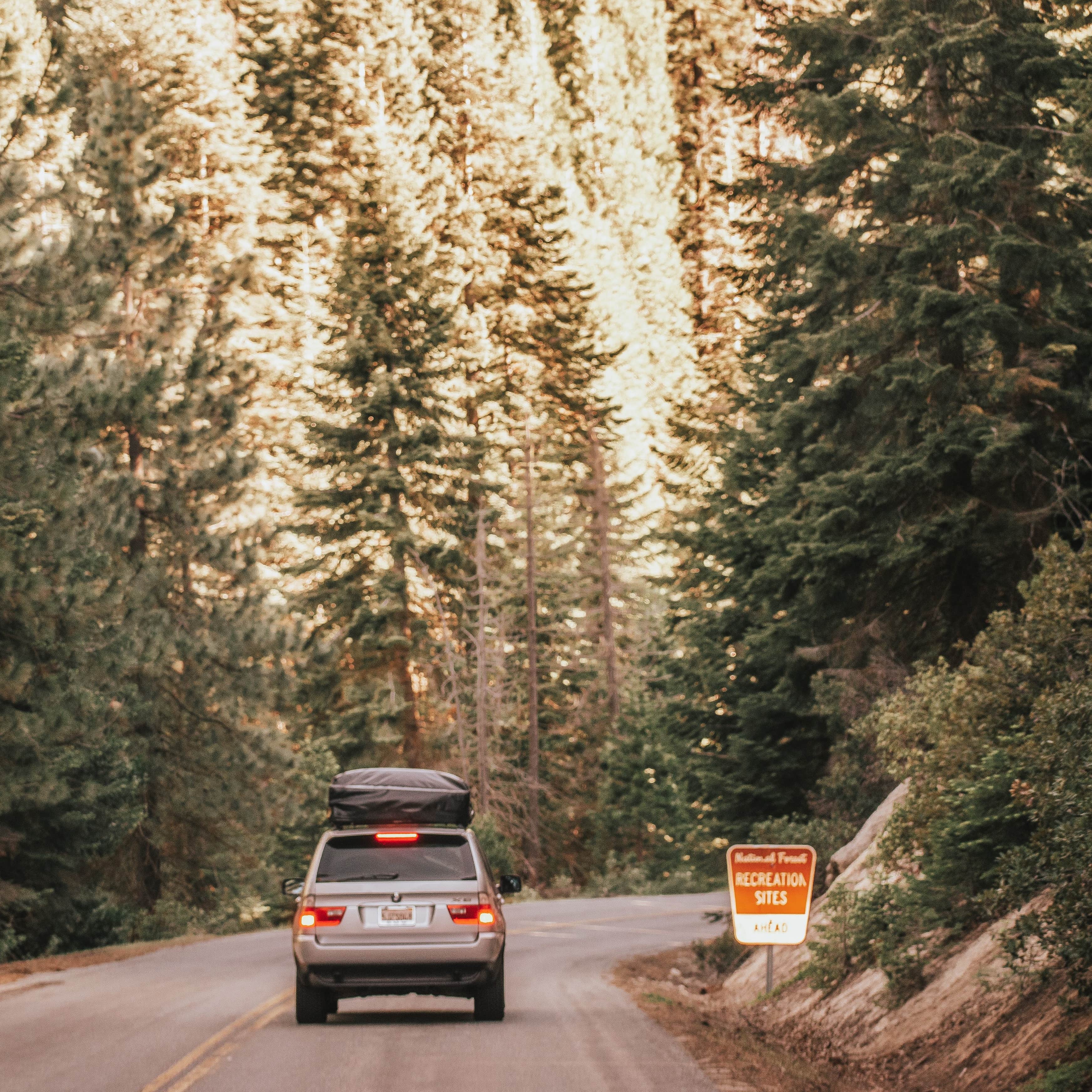 Limestone Campground | Johnsondale, California