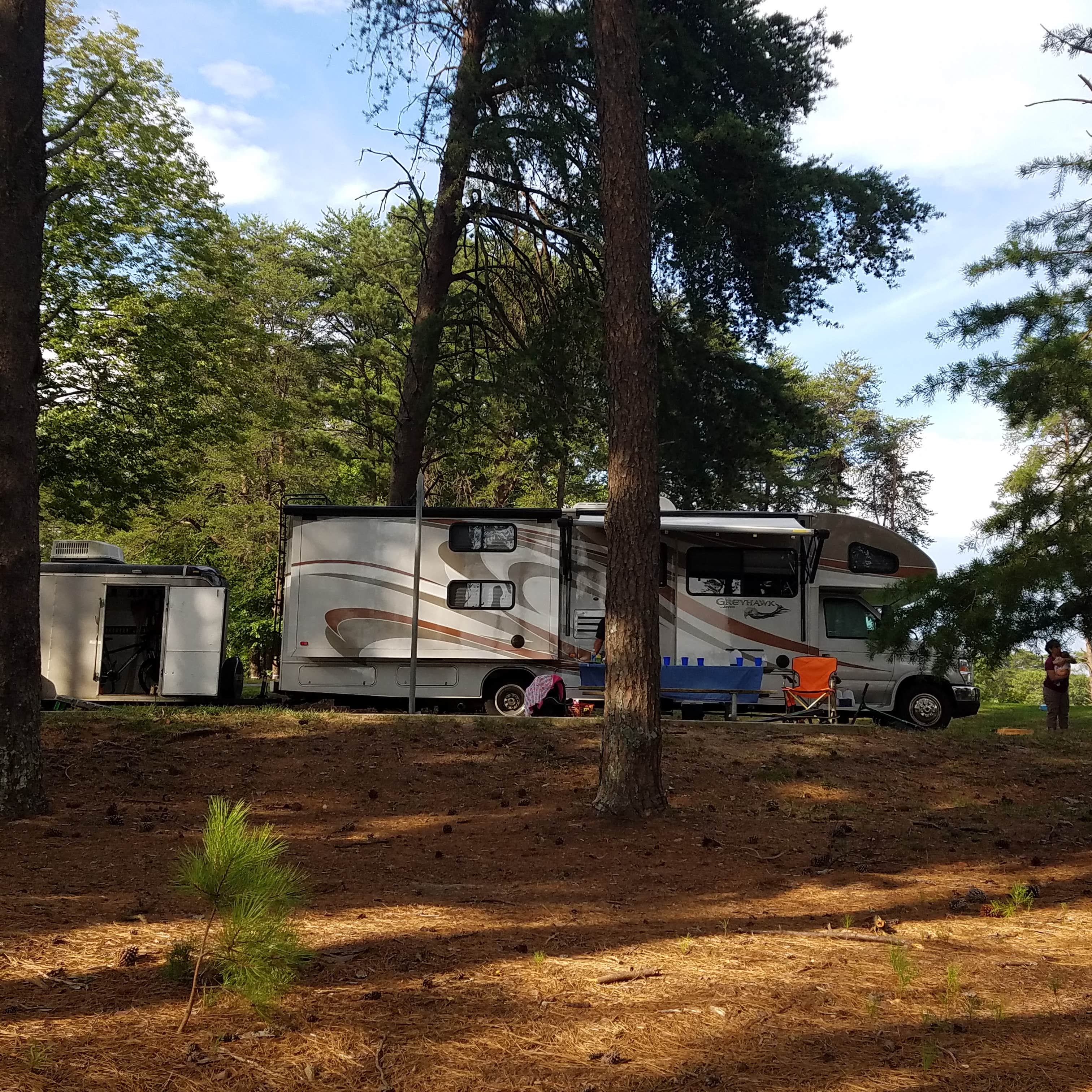 Bald Ridge Creek Camping | The Dyrt