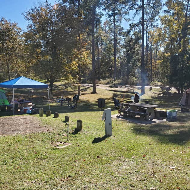 Cotile Recreation Area Camping | The Dyrt