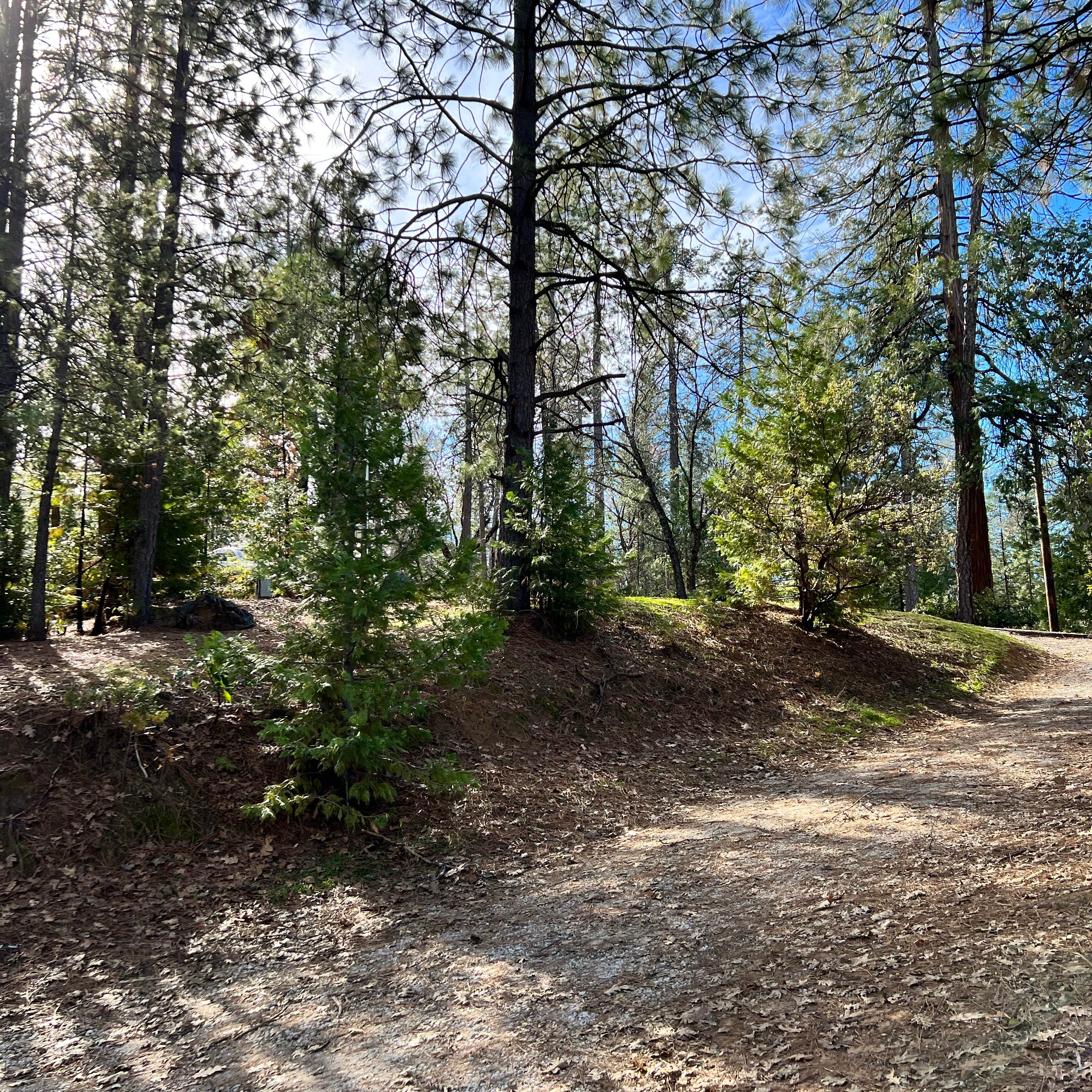 Gold Country Campground Resort Camping | The Dyrt