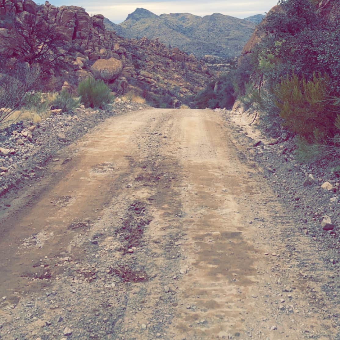 Oak Flat Campground | Miami, AZ