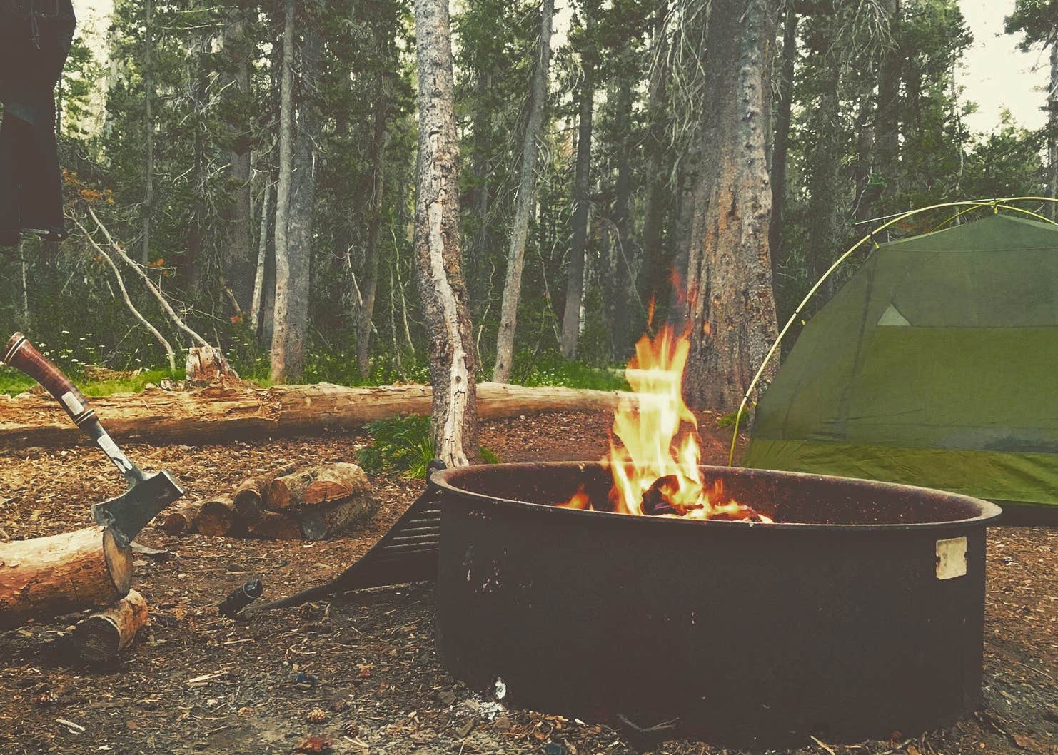 White Wolf - Yosemite National Park Camping | The Dyrt